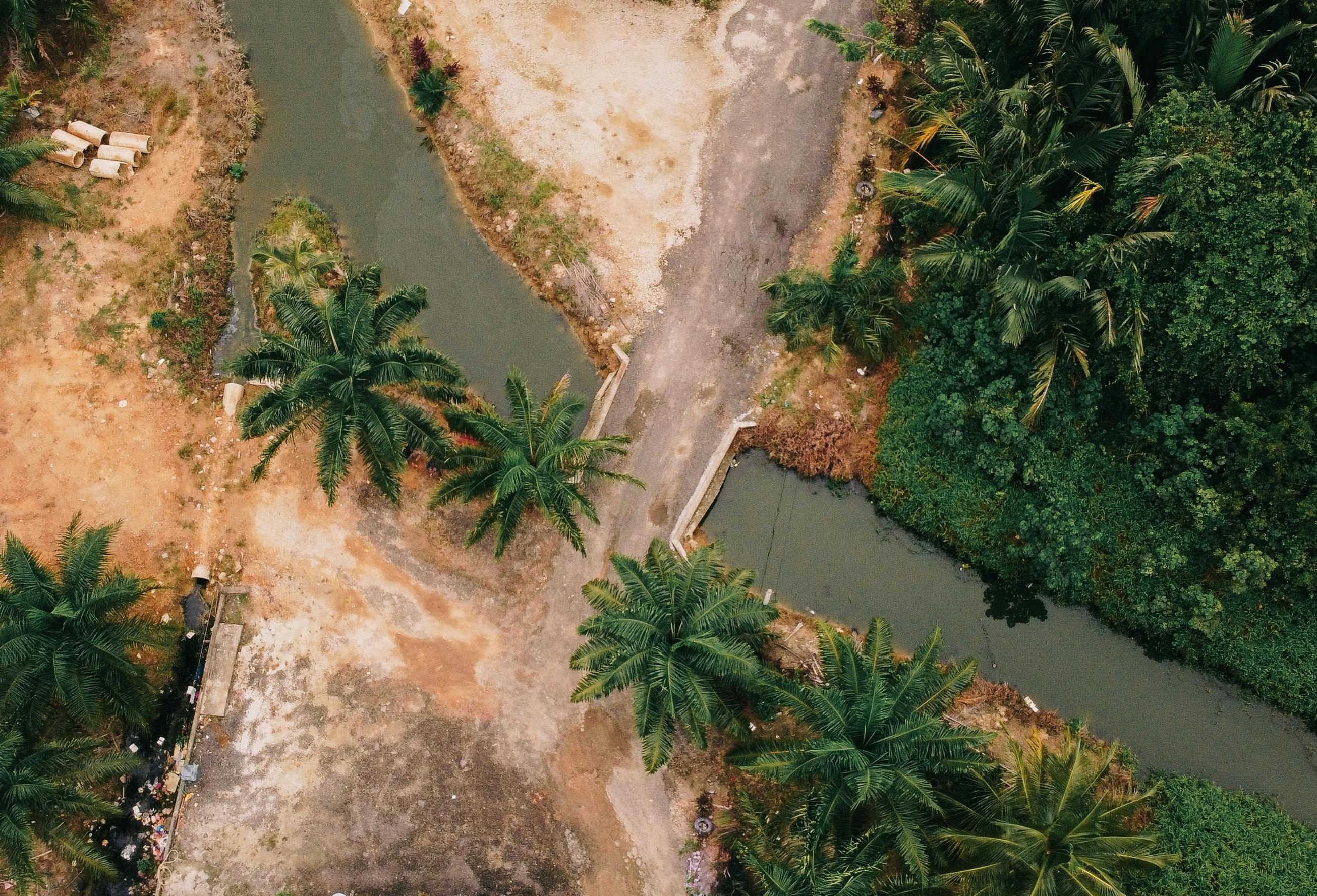 Aerial View of a Dirt Road · Free Stock Photo