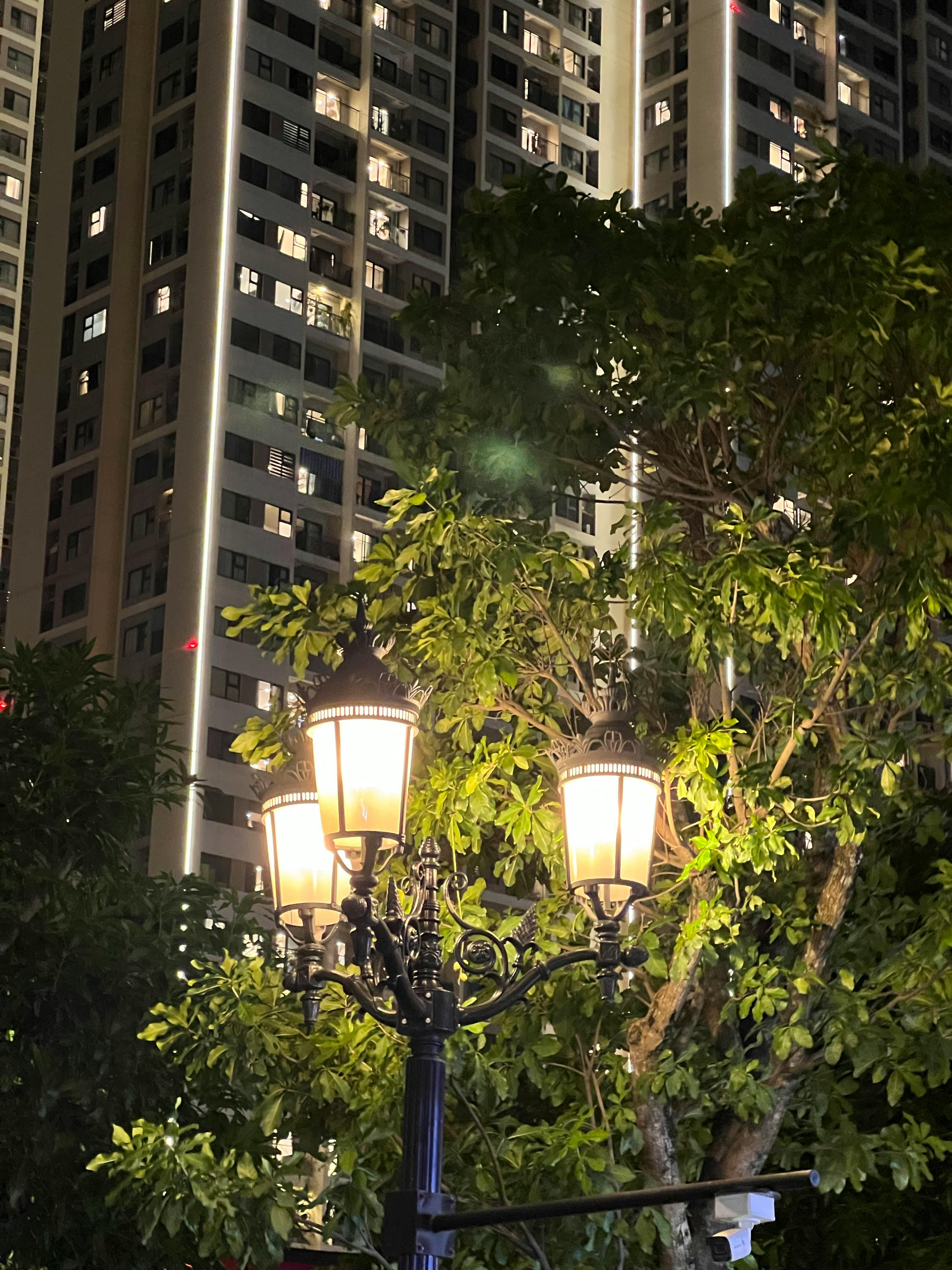 Hong Quan Pham - 사진