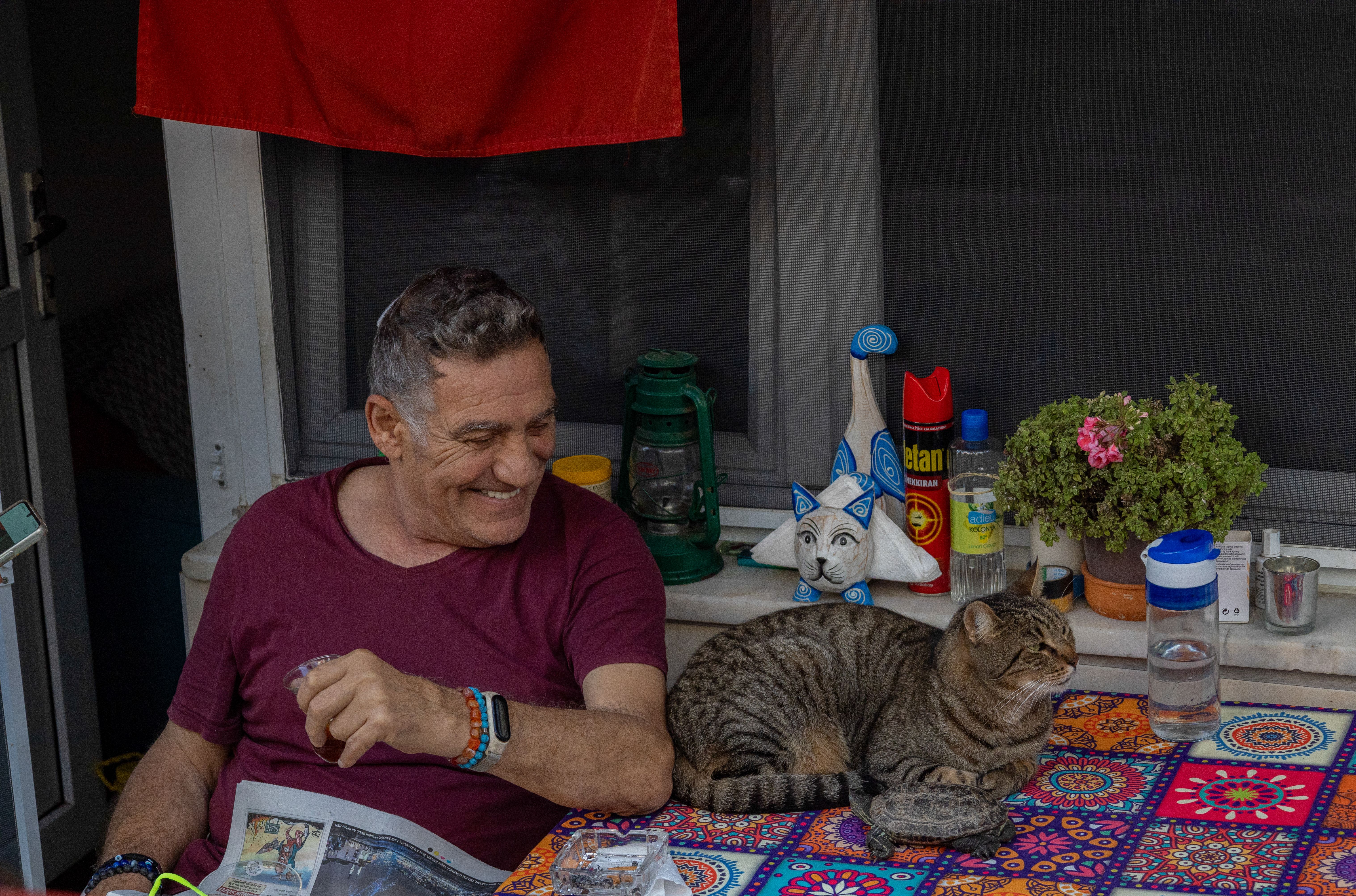 Smiling Man Looking at Cat Sitting on Table · Free Stock Photo