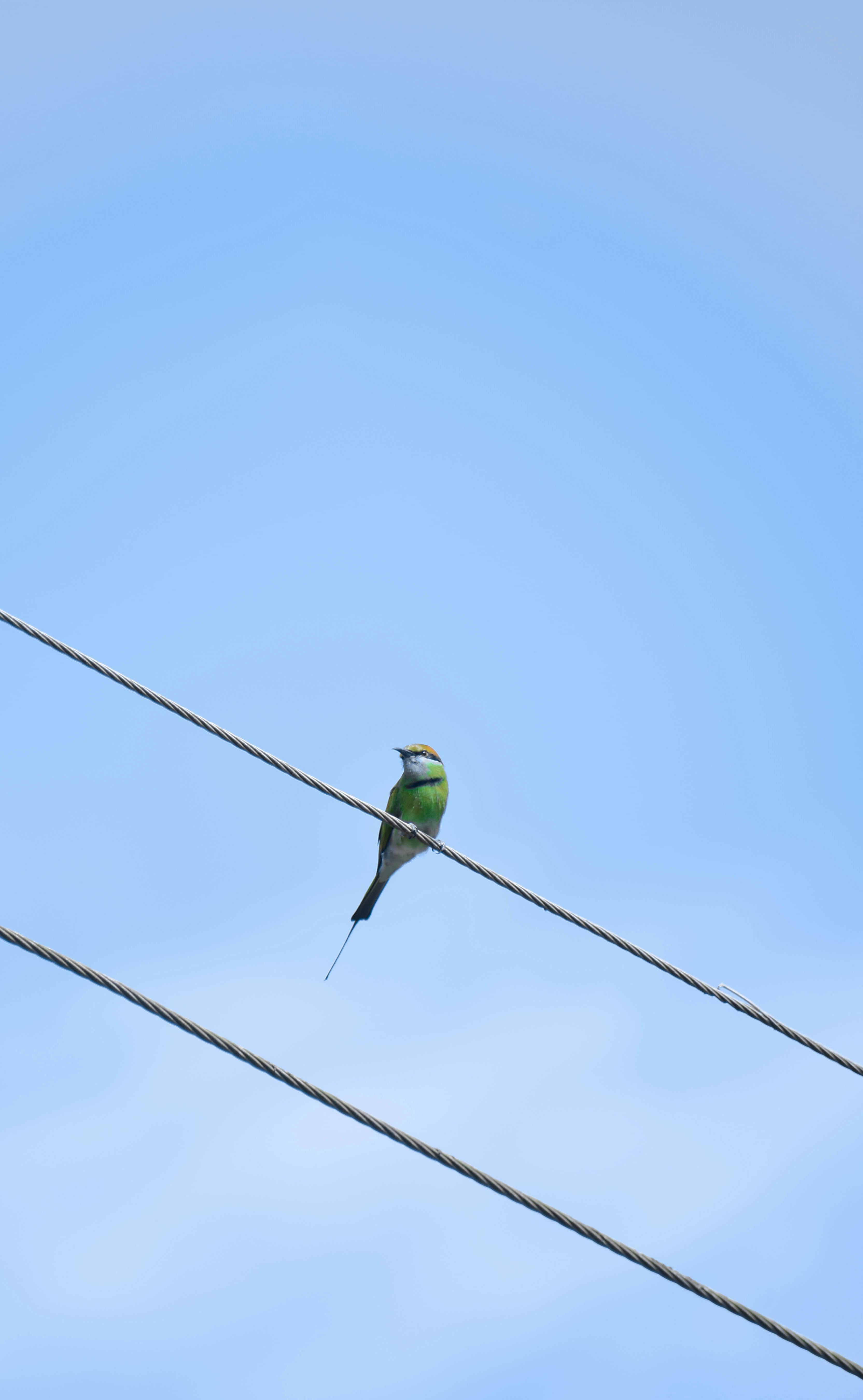 Free Non Copyrighted Blue Photos, Download The BEST Free Free Non ...