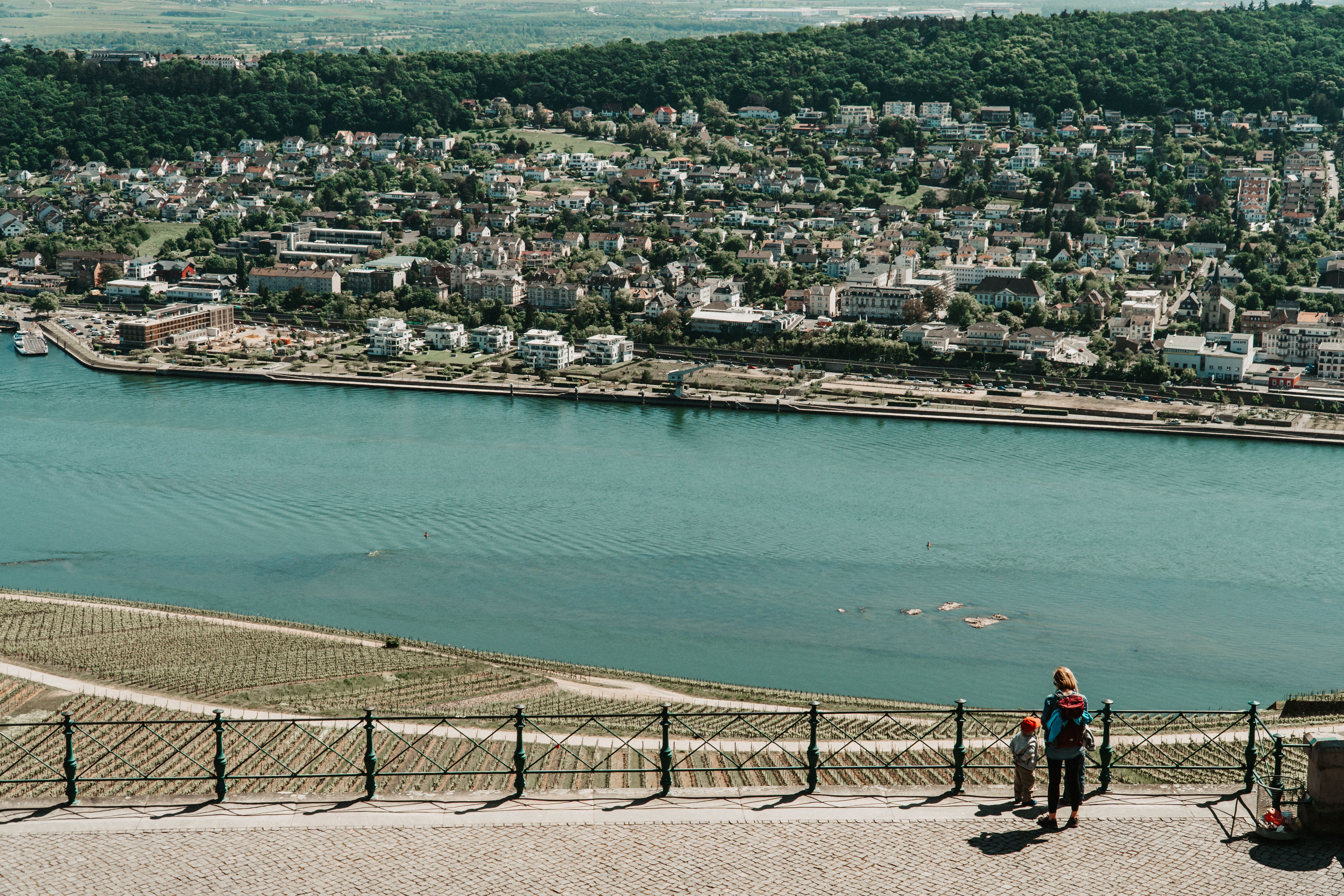 Rhine River Photos, Download The BEST Free Rhine River Stock Photos ...