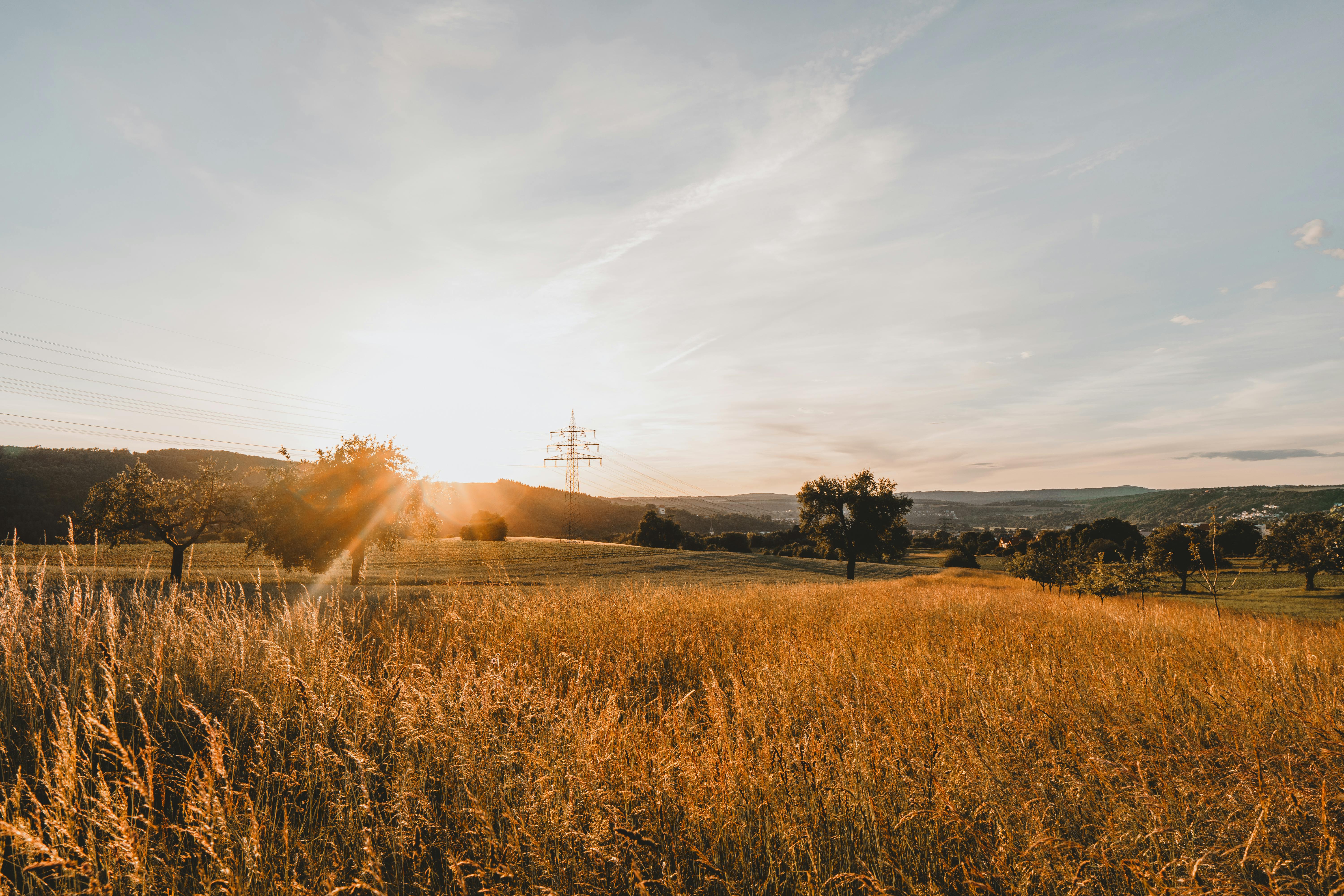 Gray Field during Sunset · Free Stock Photo