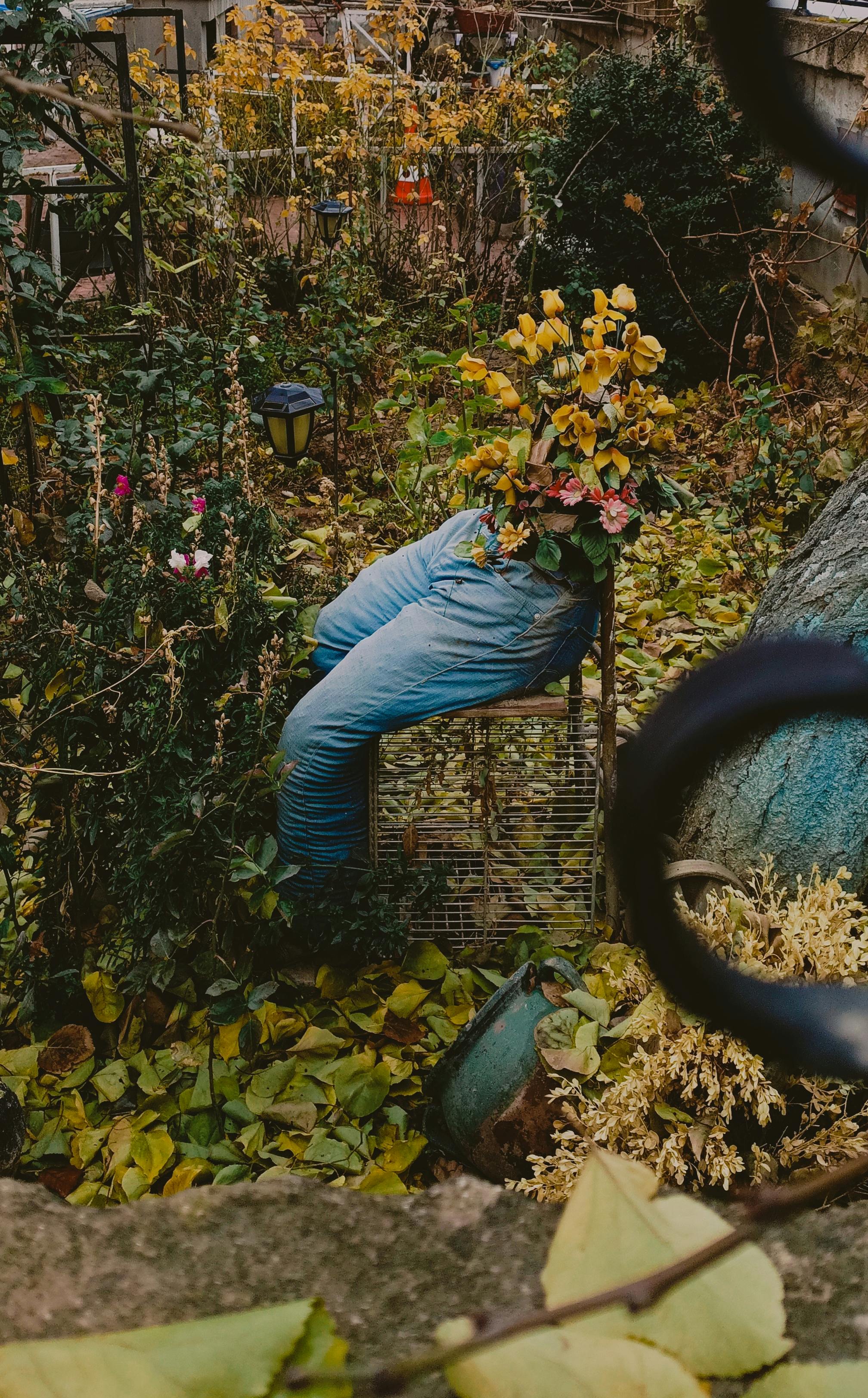 Creative Commons Photos, Download The BEST Free Creative Commons Stock ...