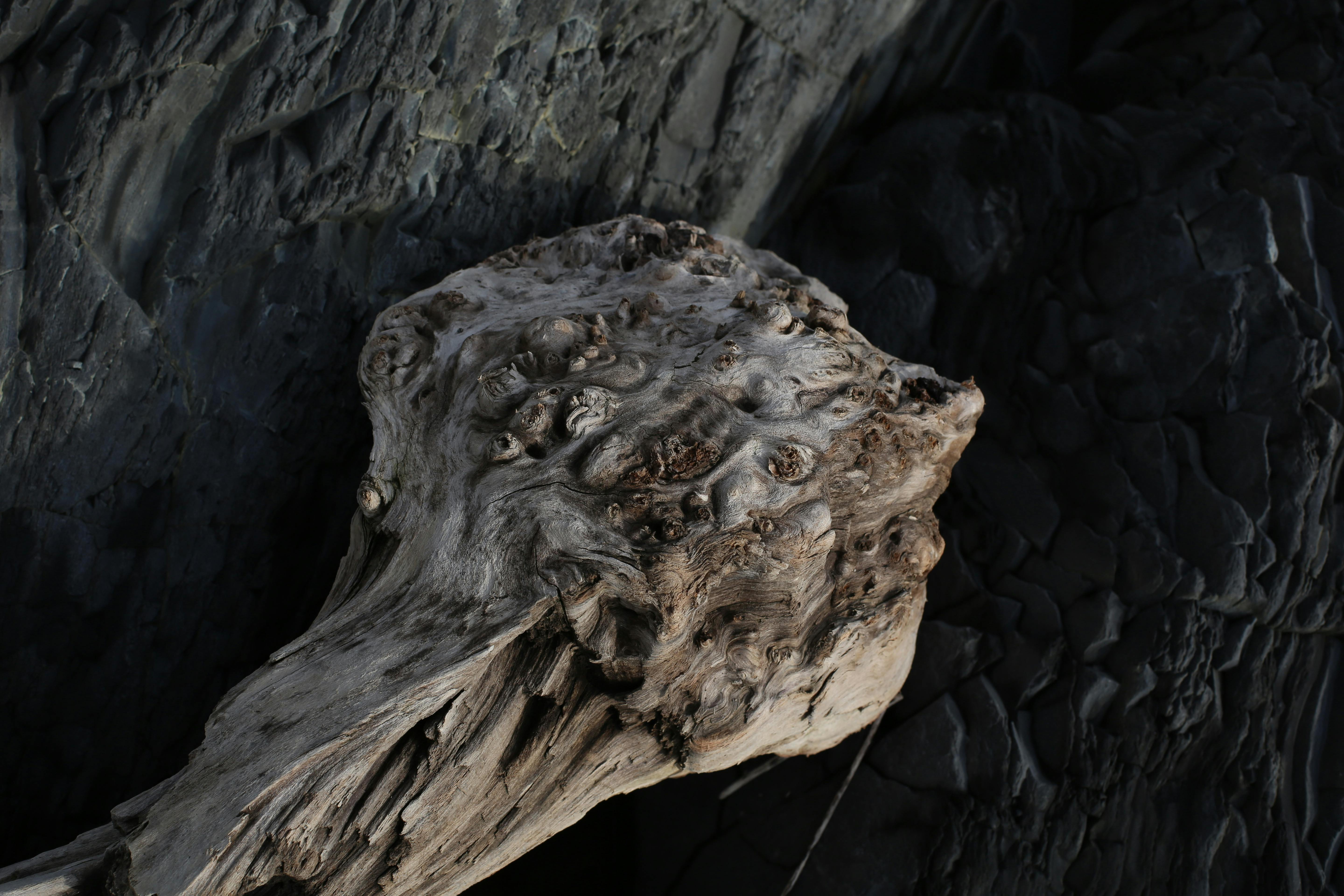 Geology Science Photos, Download The BEST Free Geology Science Stock ...