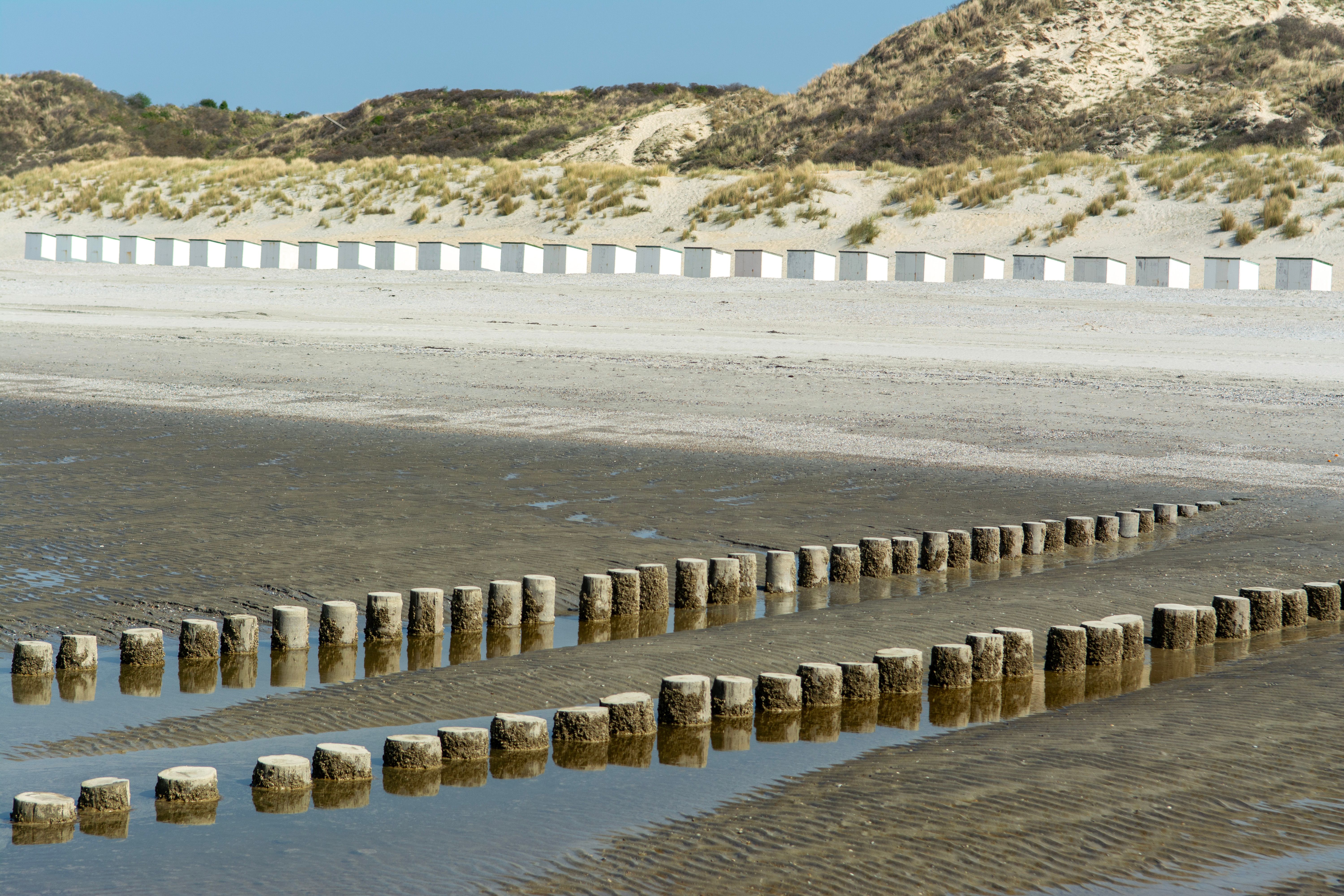 Wooden Breakwater on Sea Shore · Free Stock Photo
