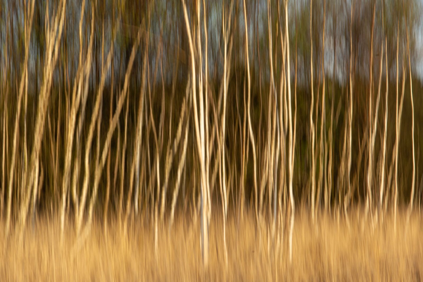 Natural Landscape Photos, Download The BEST Free Natural Landscape ...