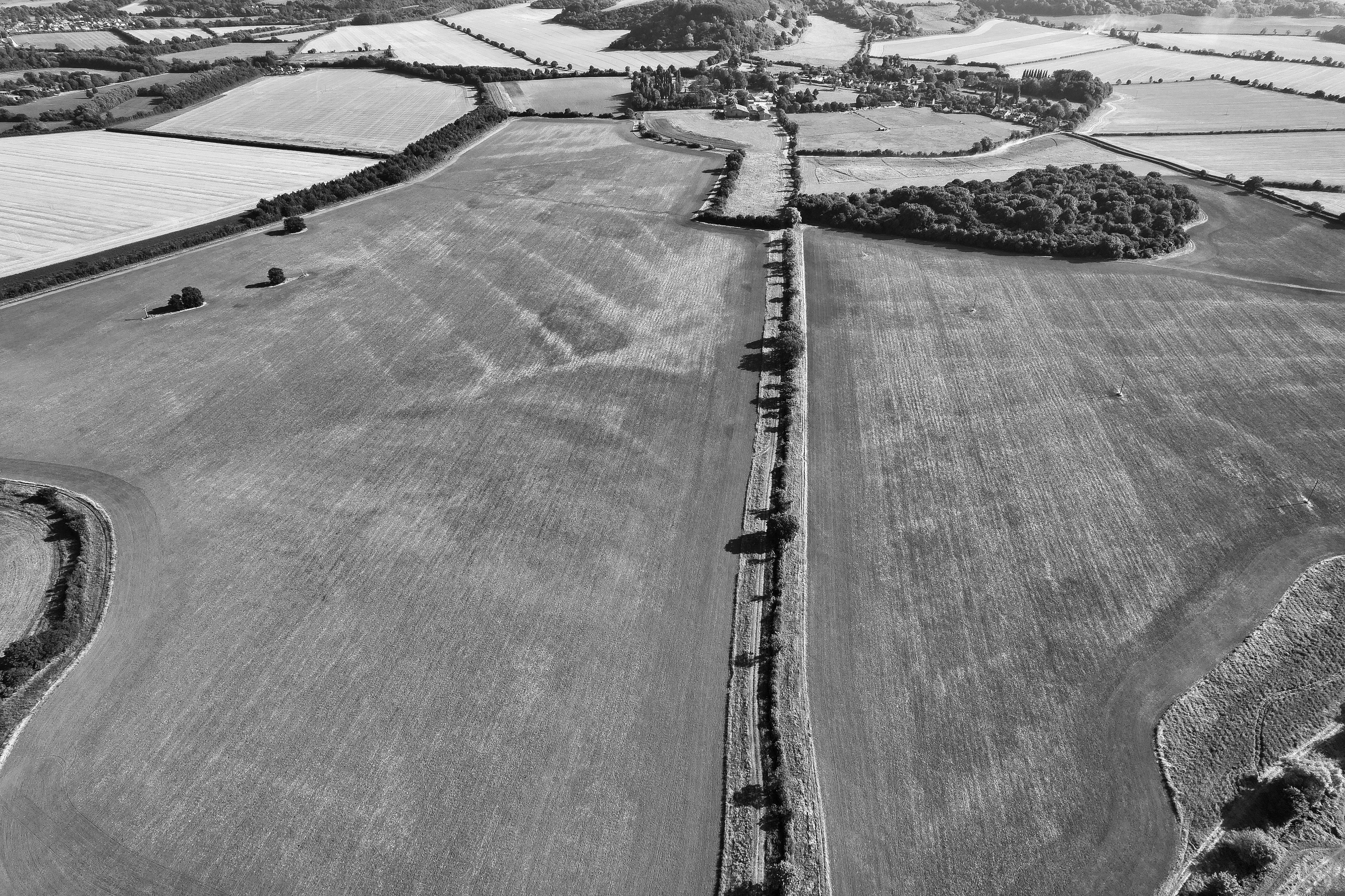 Field Seen From Above in Black and White · Free Stock Photo