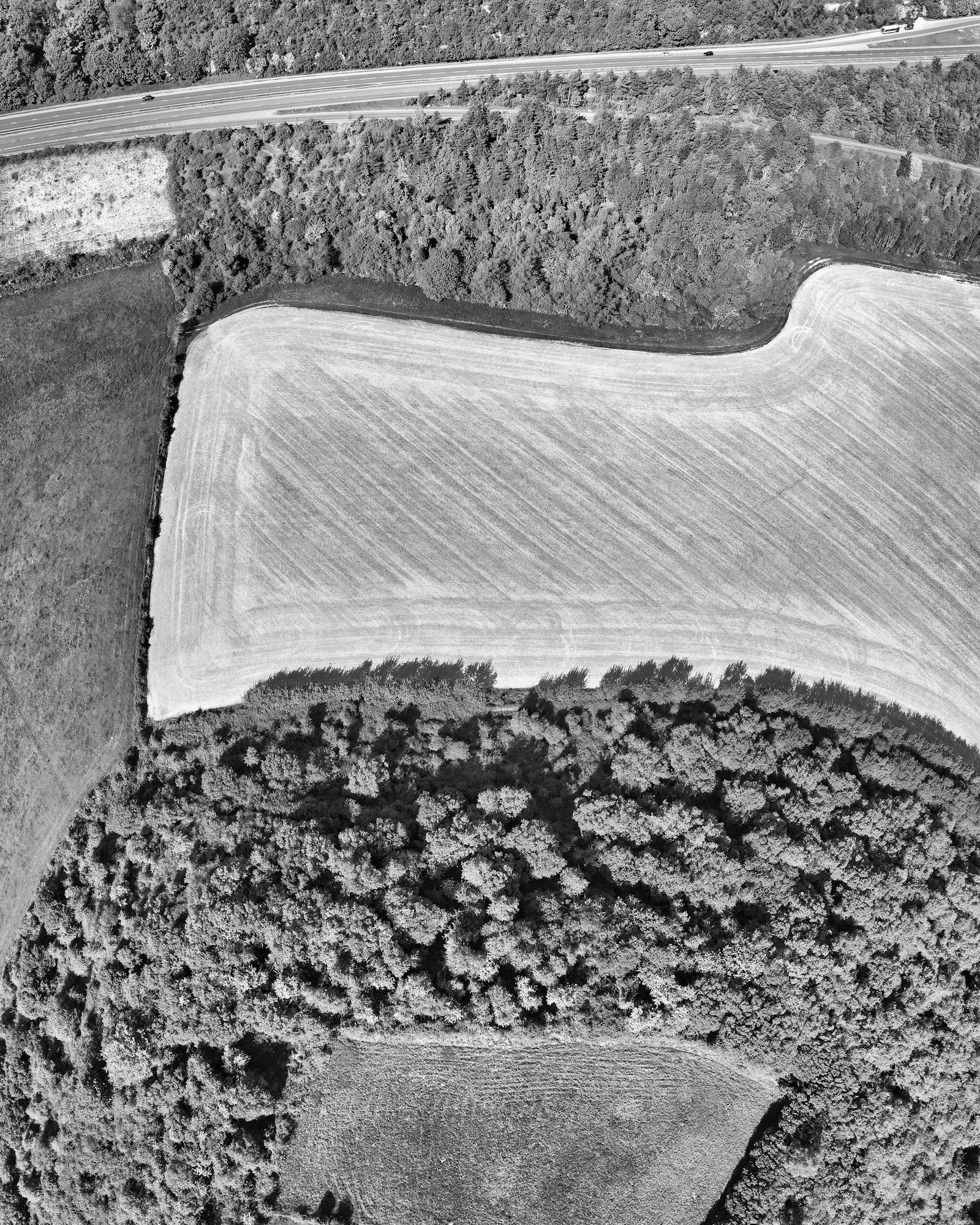 Forest Above Photos, Download The BEST Free Forest Above Stock Photos ...