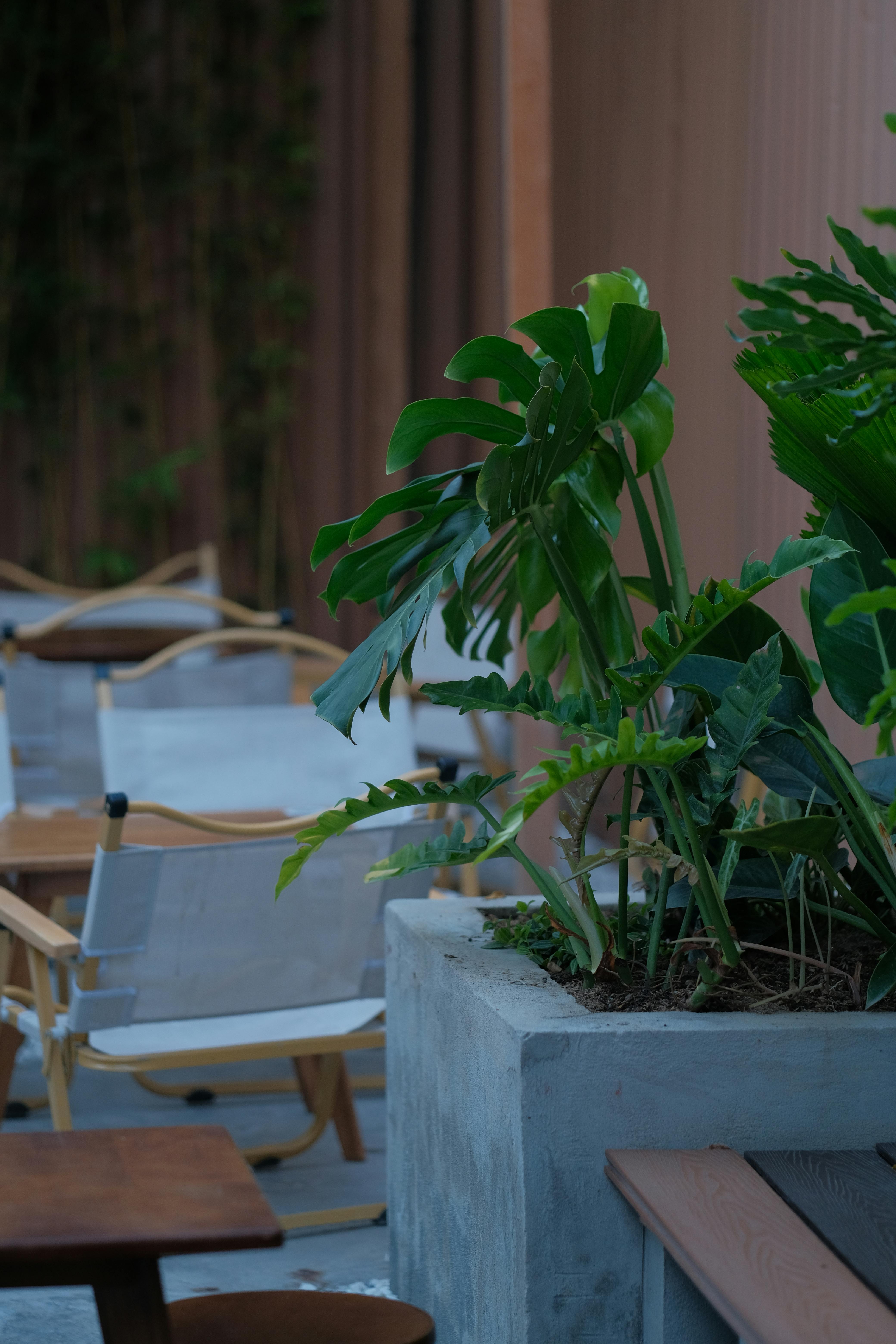 Swiss Design Photos, Download The BEST Free Swiss Design Stock Photos ...