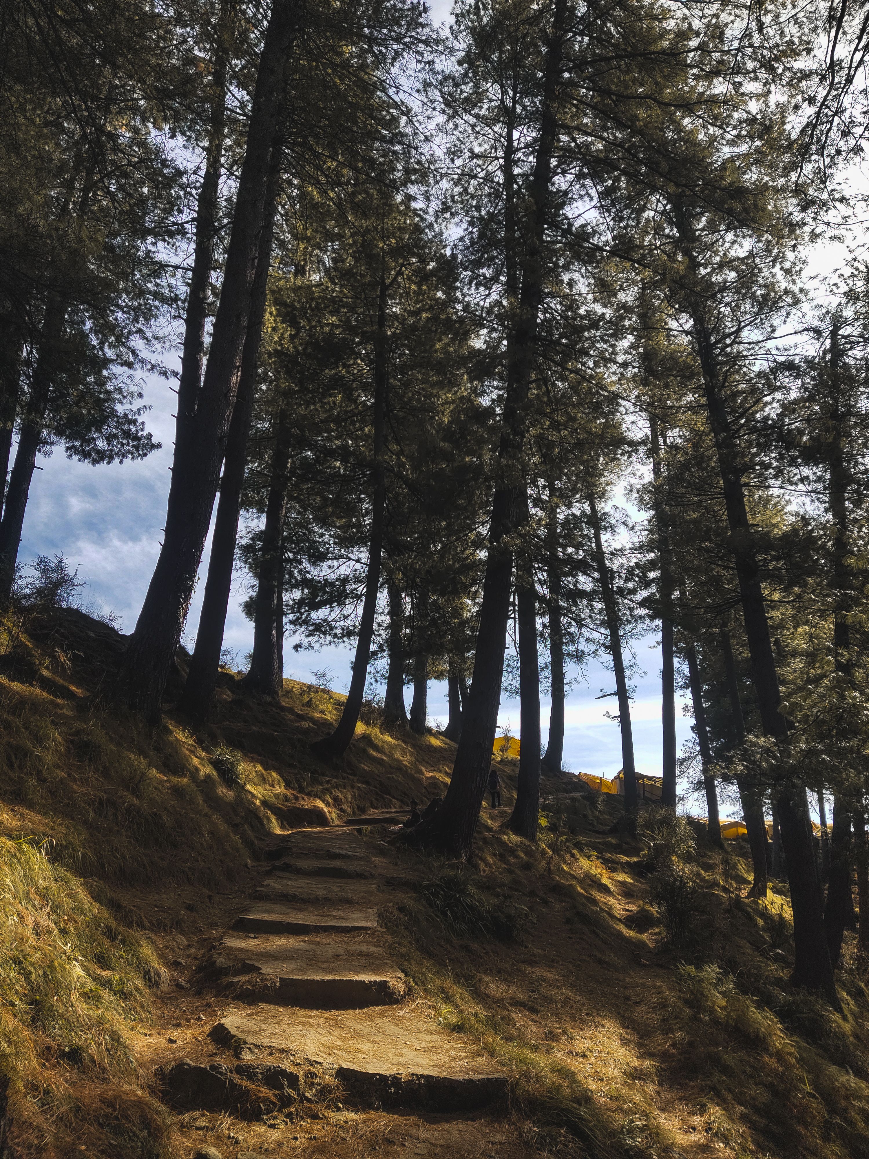 Foto de stock gratuita sobre al aire libre, alpino, arboles, aventura ...