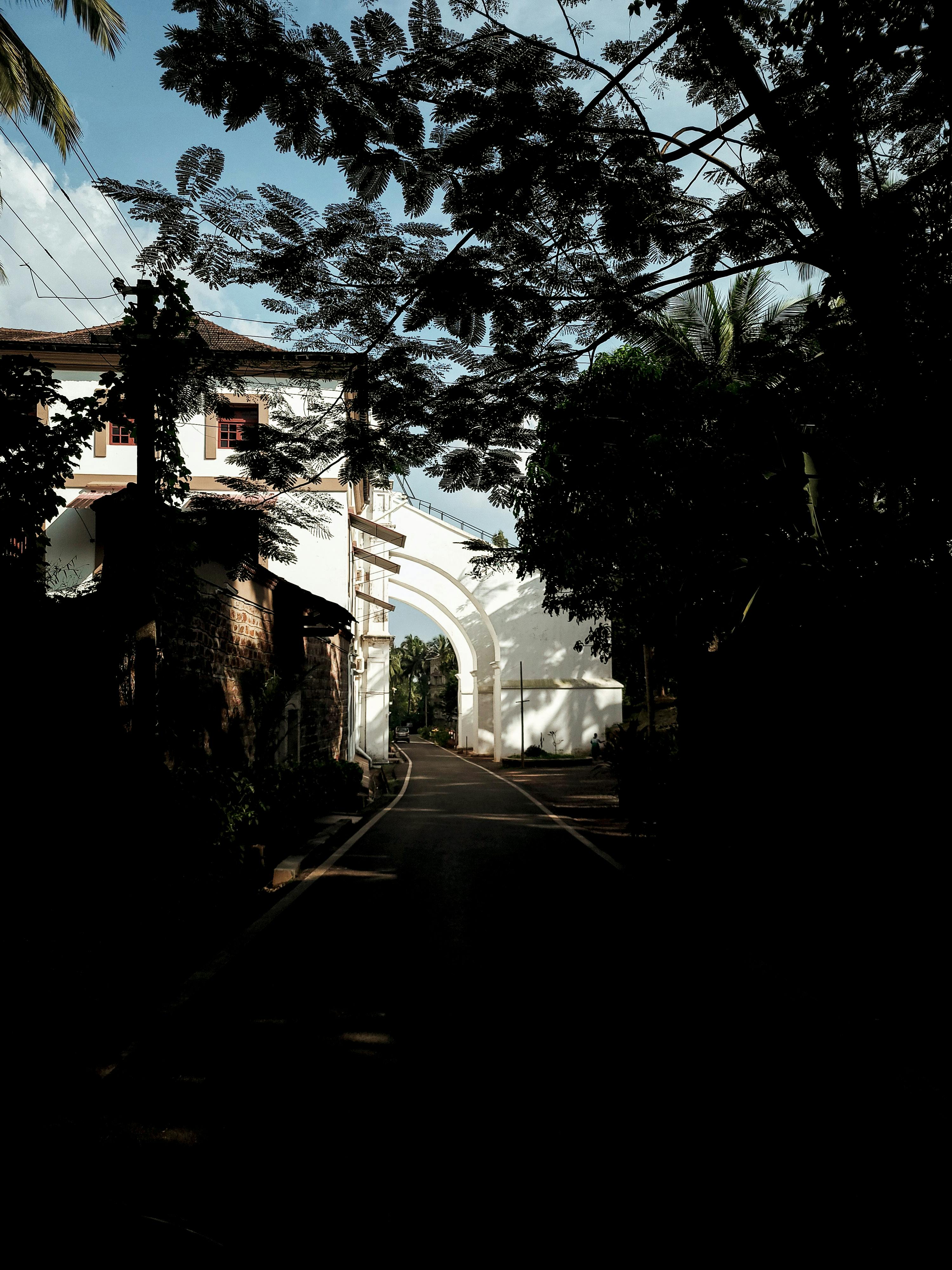 Scaffolding Shadow Photos, Download The BEST Free Scaffolding Shadow ...