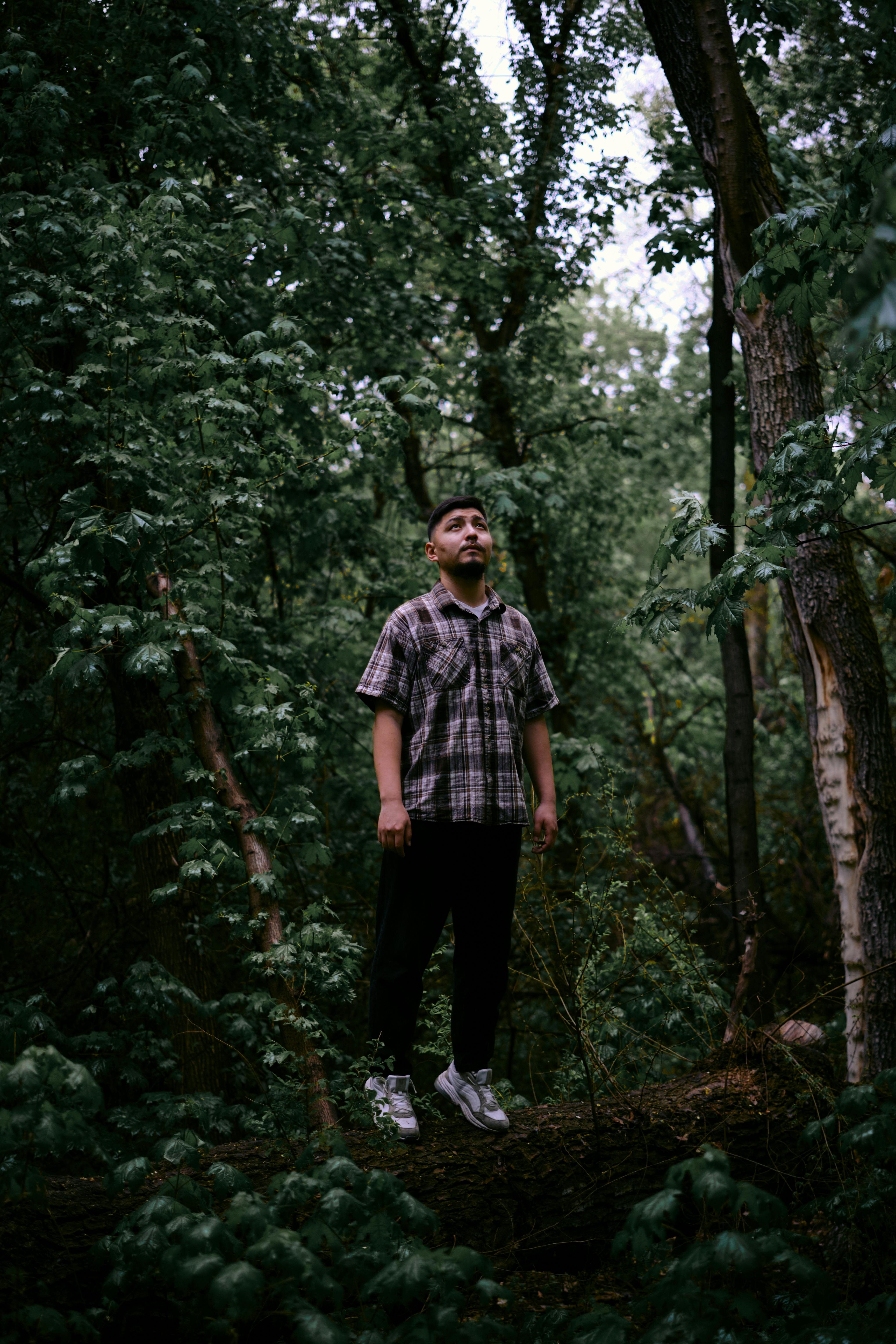 Ruslan Alekso - 摄影