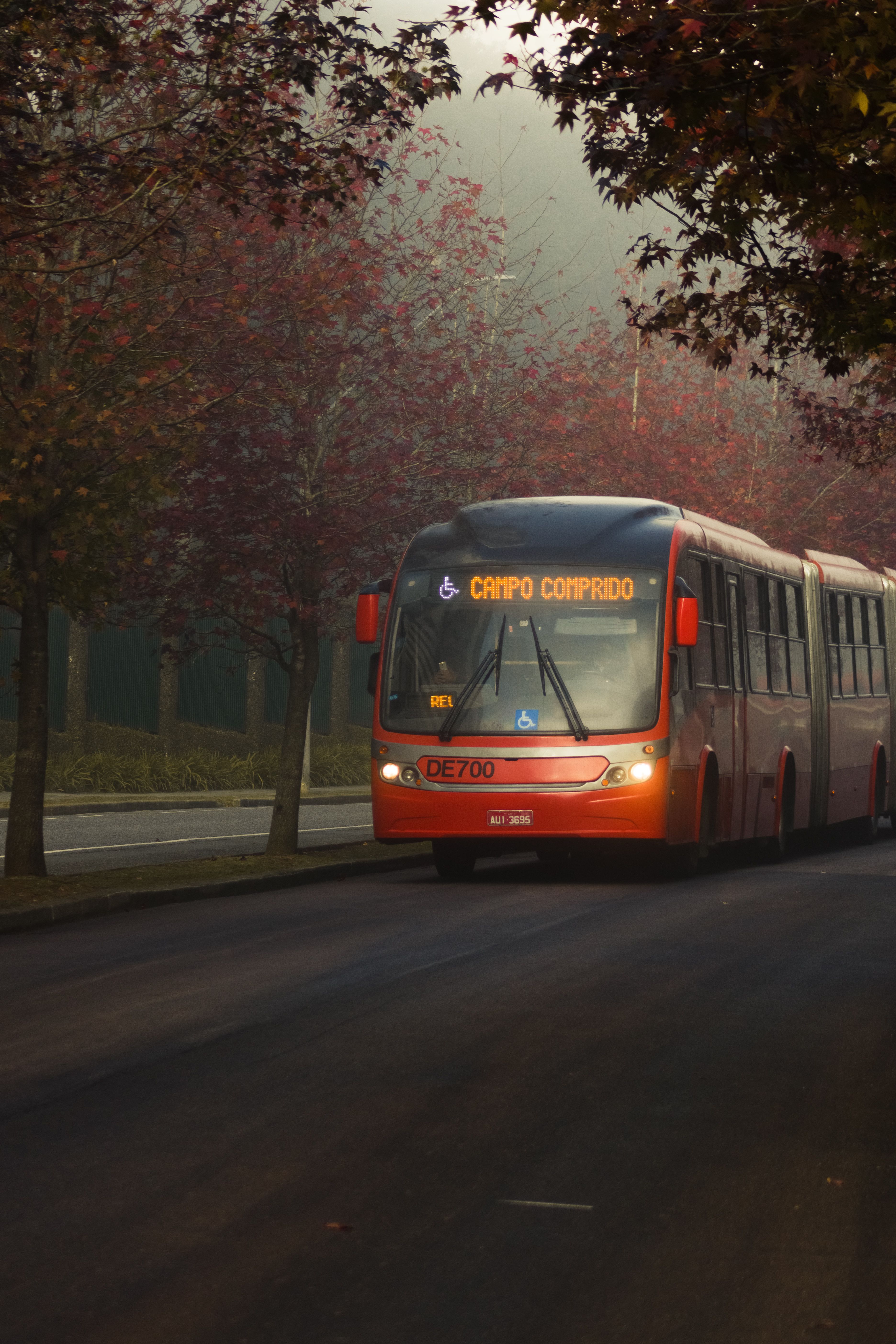 Bus on a Road in Autumn · Free Stock Photo