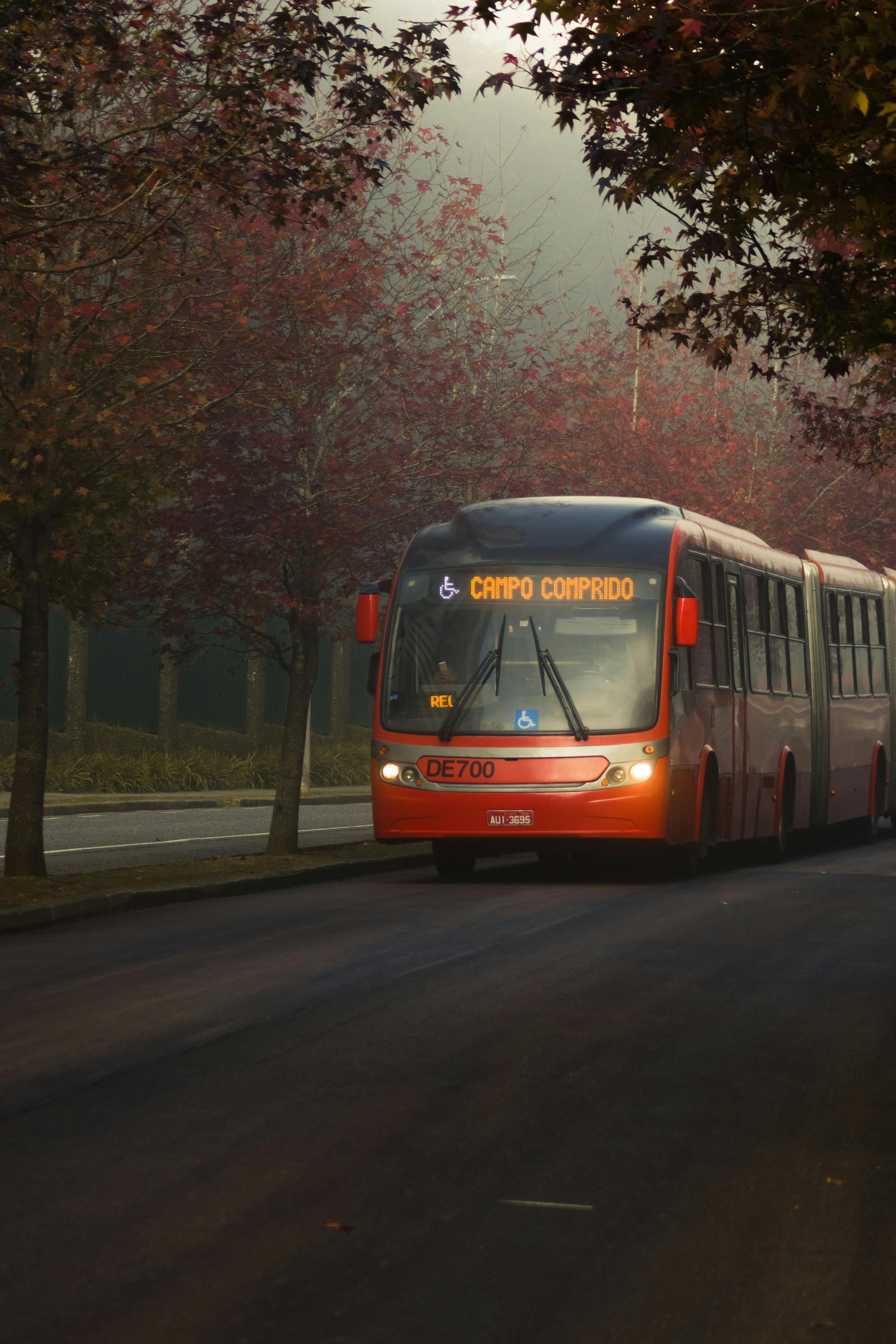 Foto de stock gratuita sobre autobús, carretera, otoño, tiro vertical ...
