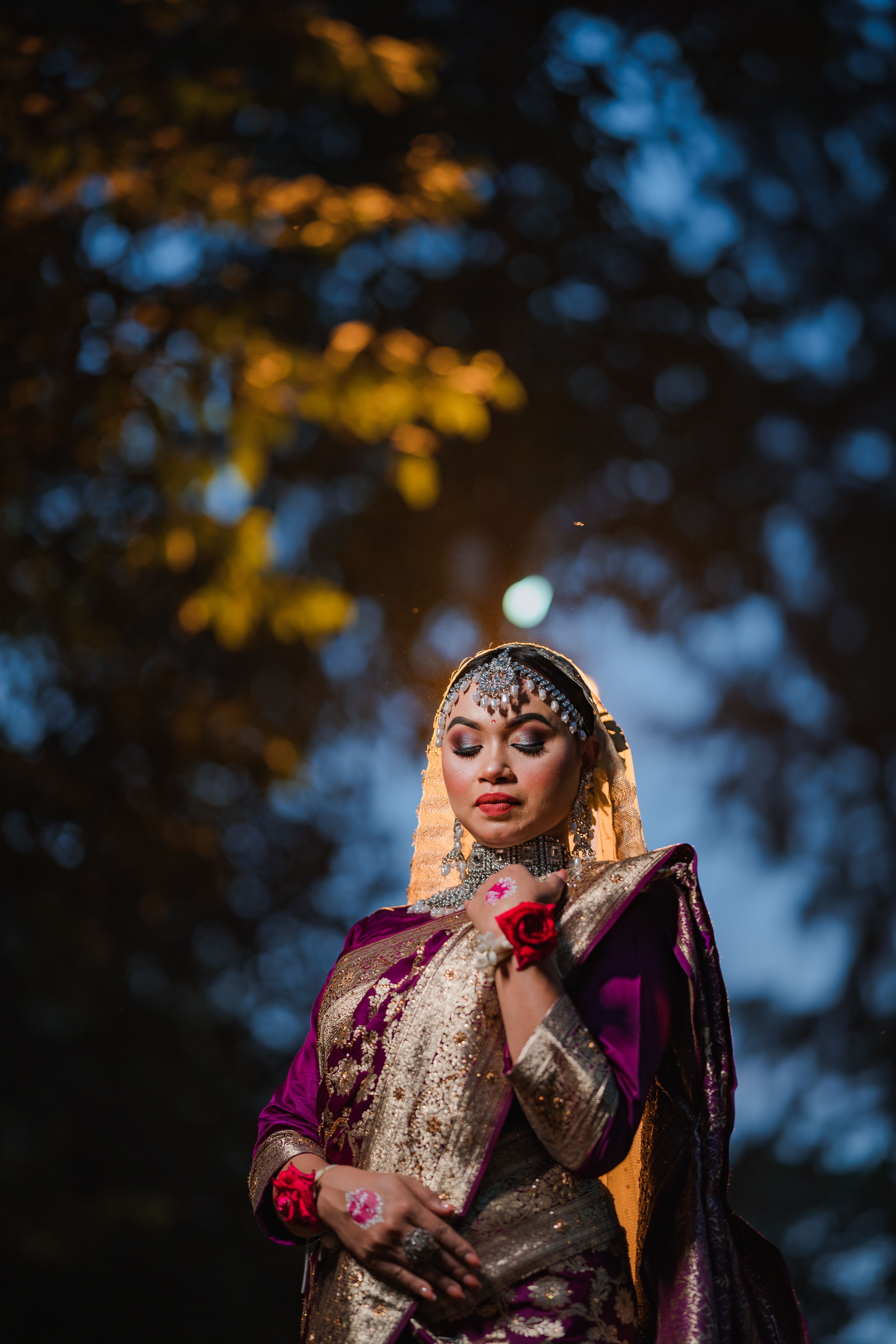 Woman Wearing Sari in the Evening · Free Stock Photo