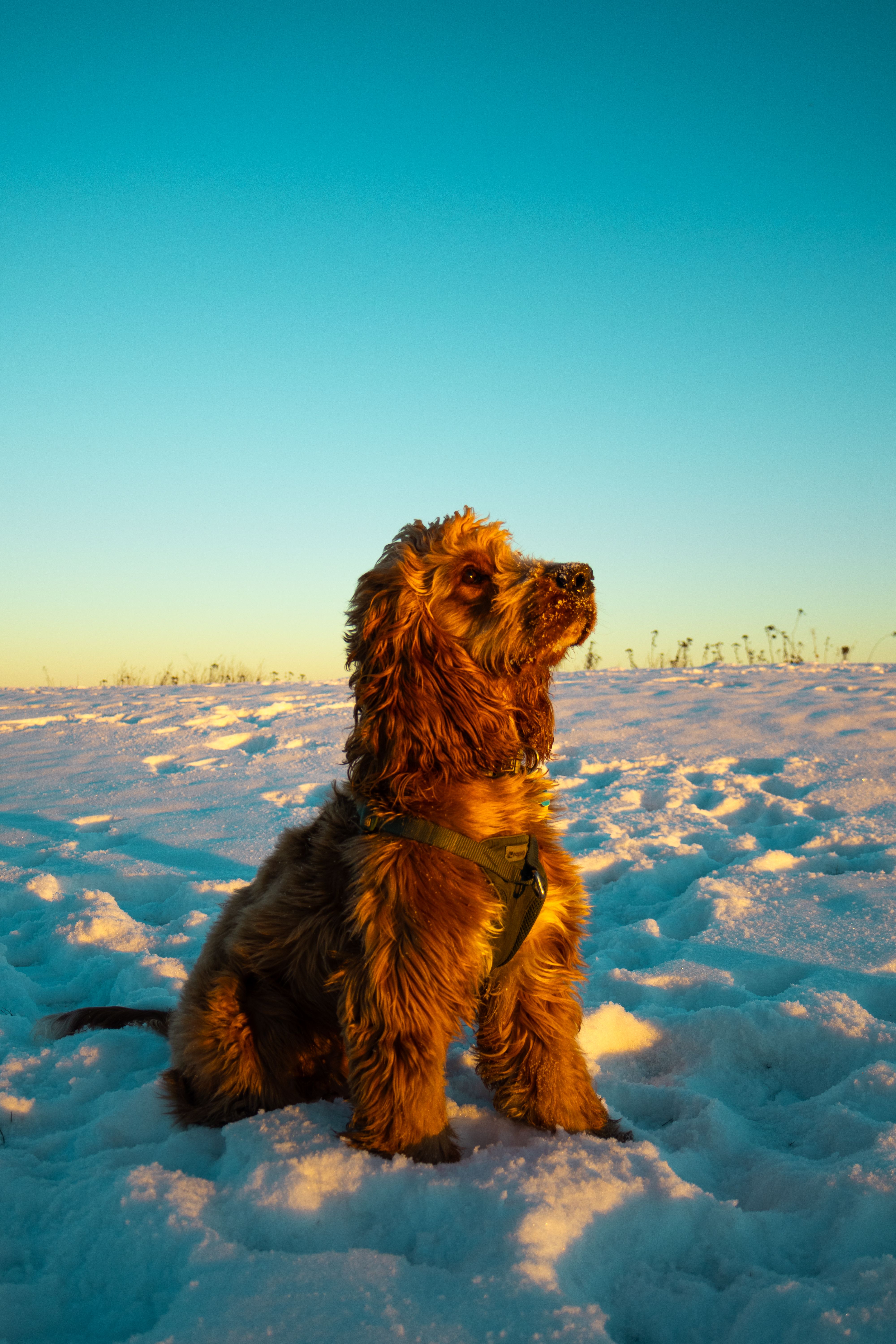 Vertial Photos, Download The BEST Free Vertial Stock Photos & HD Images