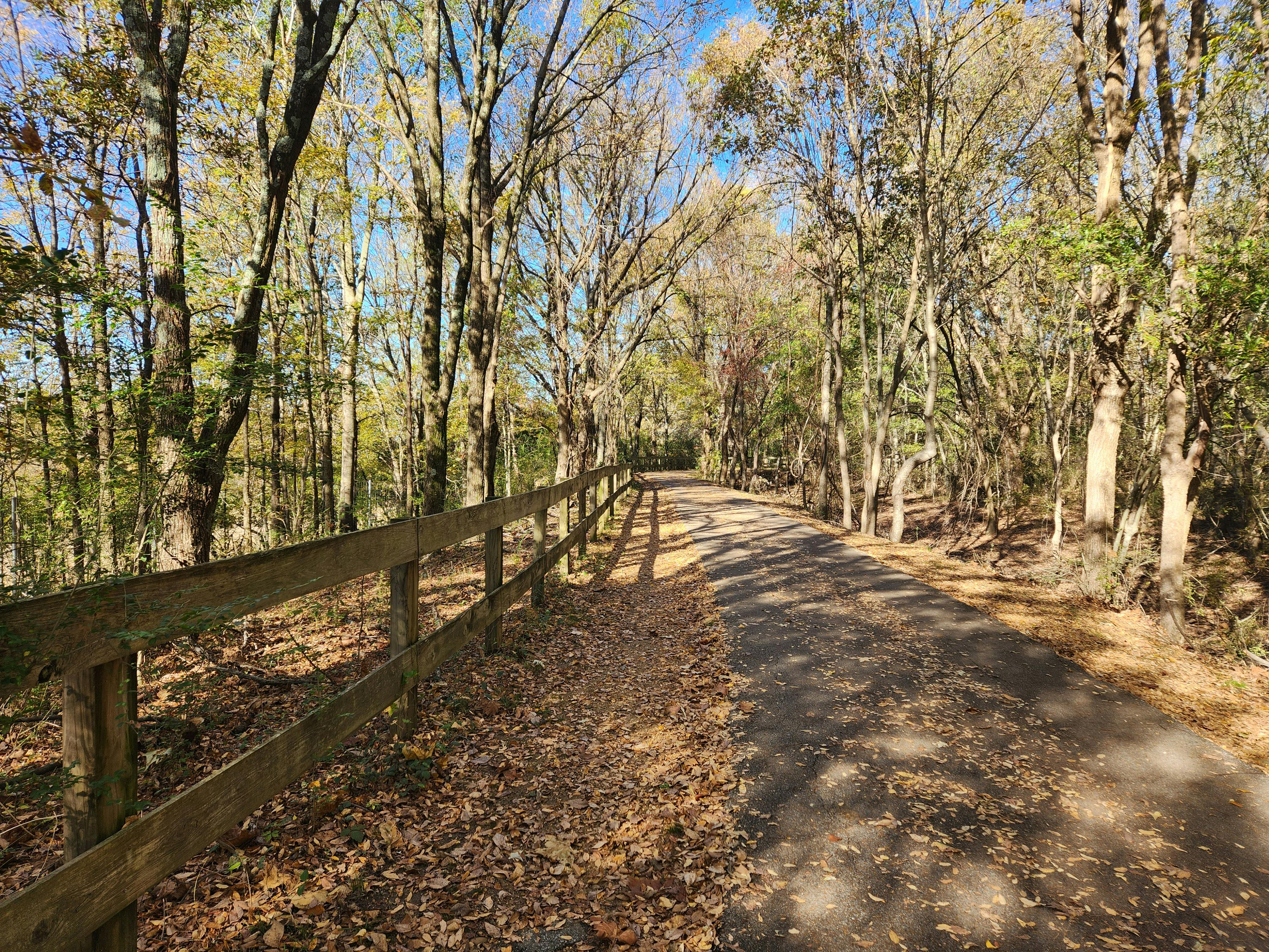 Tim Riley - Photography