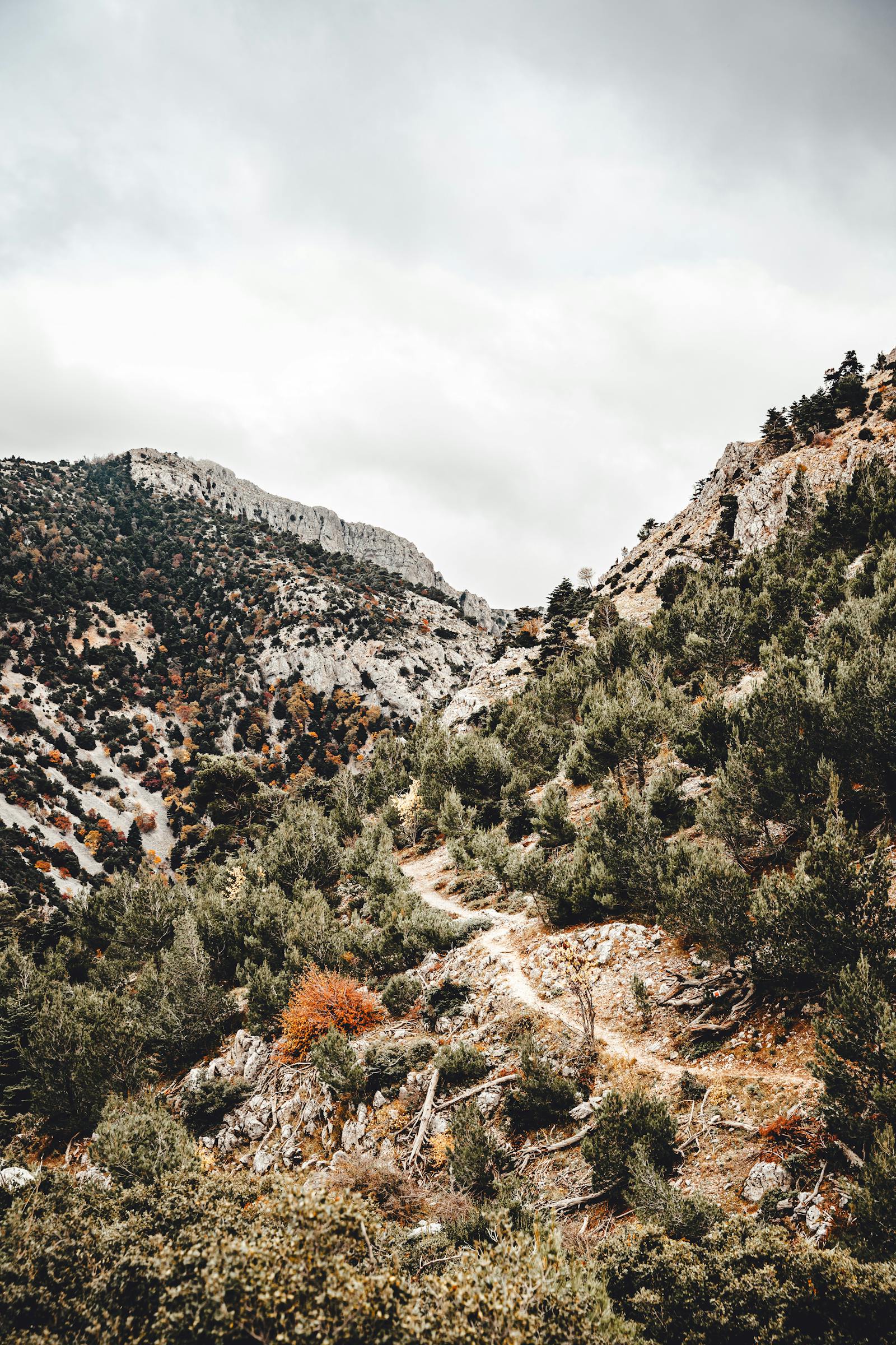 Slime River Stone Mountain Photos, Download The BEST Free Slime River ...