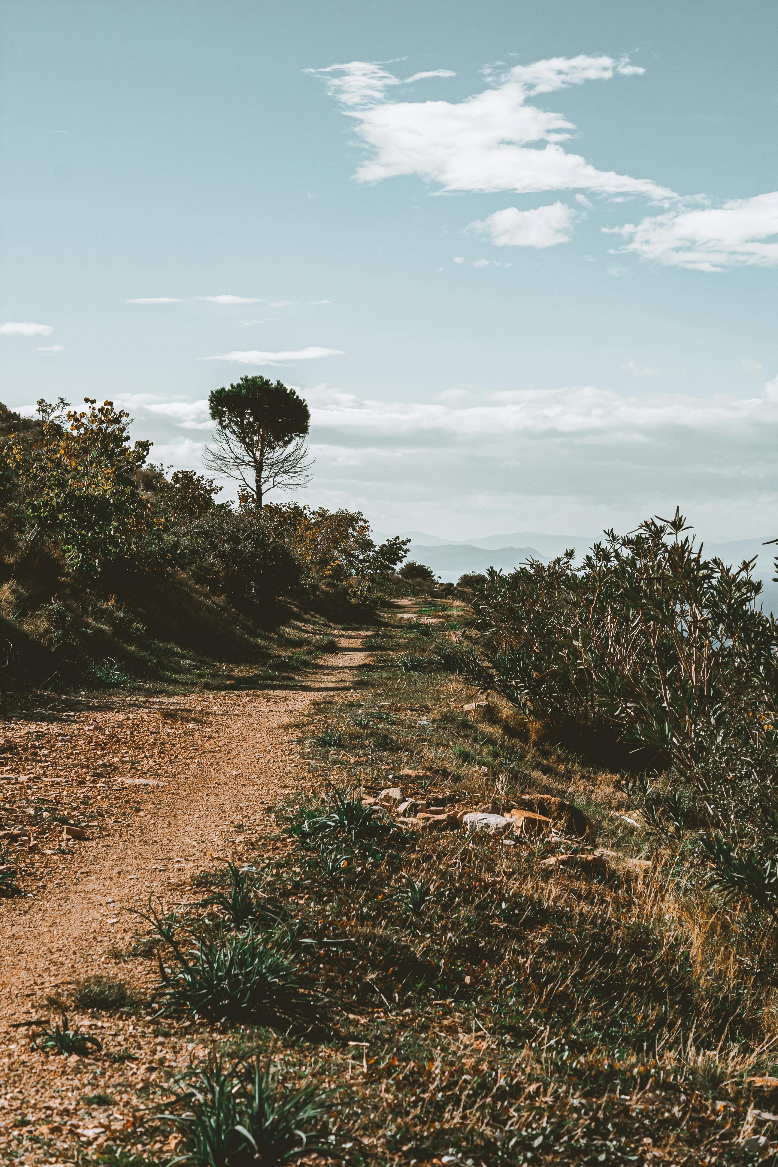 Sand White Background Photos, Download The BEST Free Sand White ...