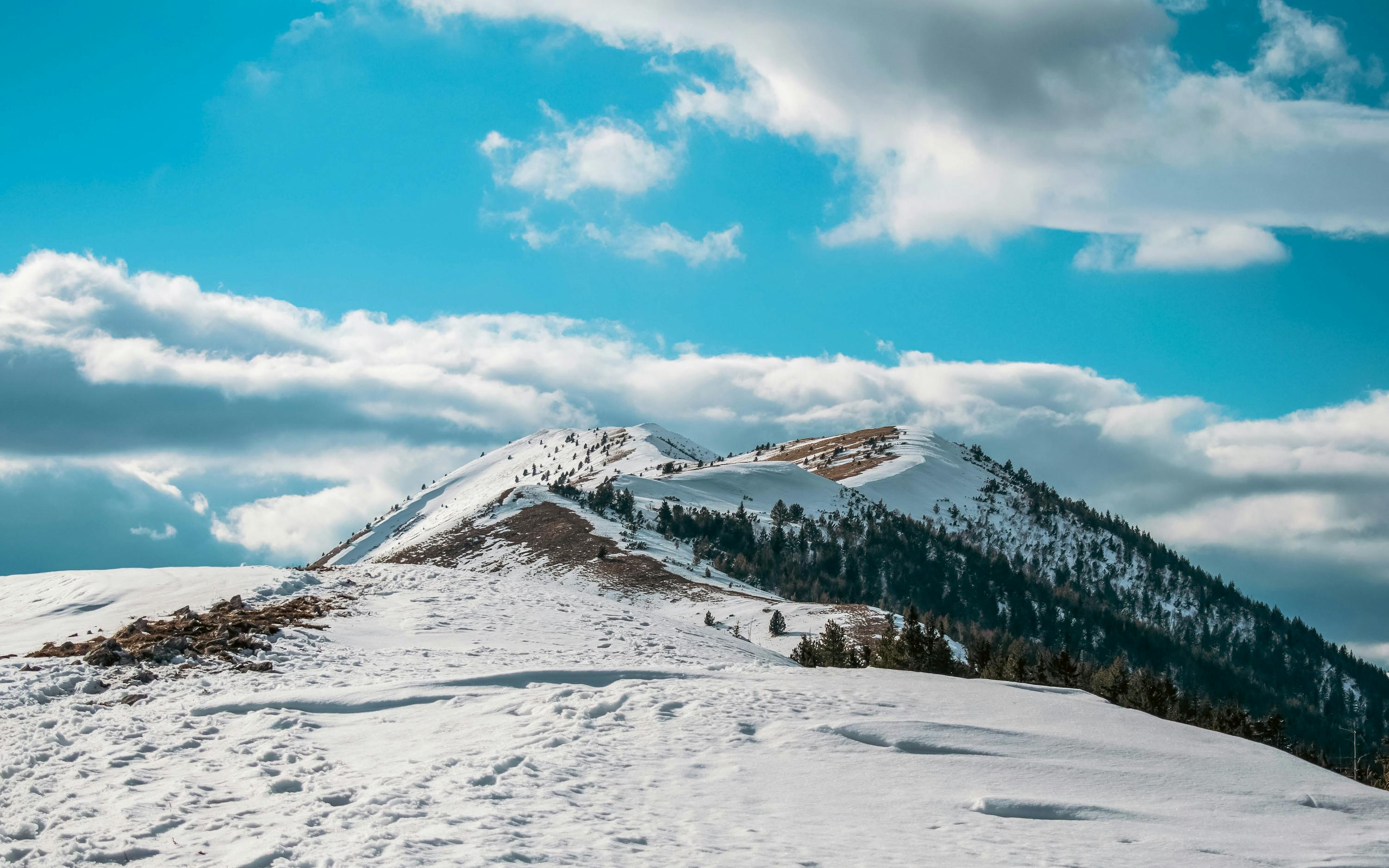Snow on Hill in Winter · Free Stock Photo