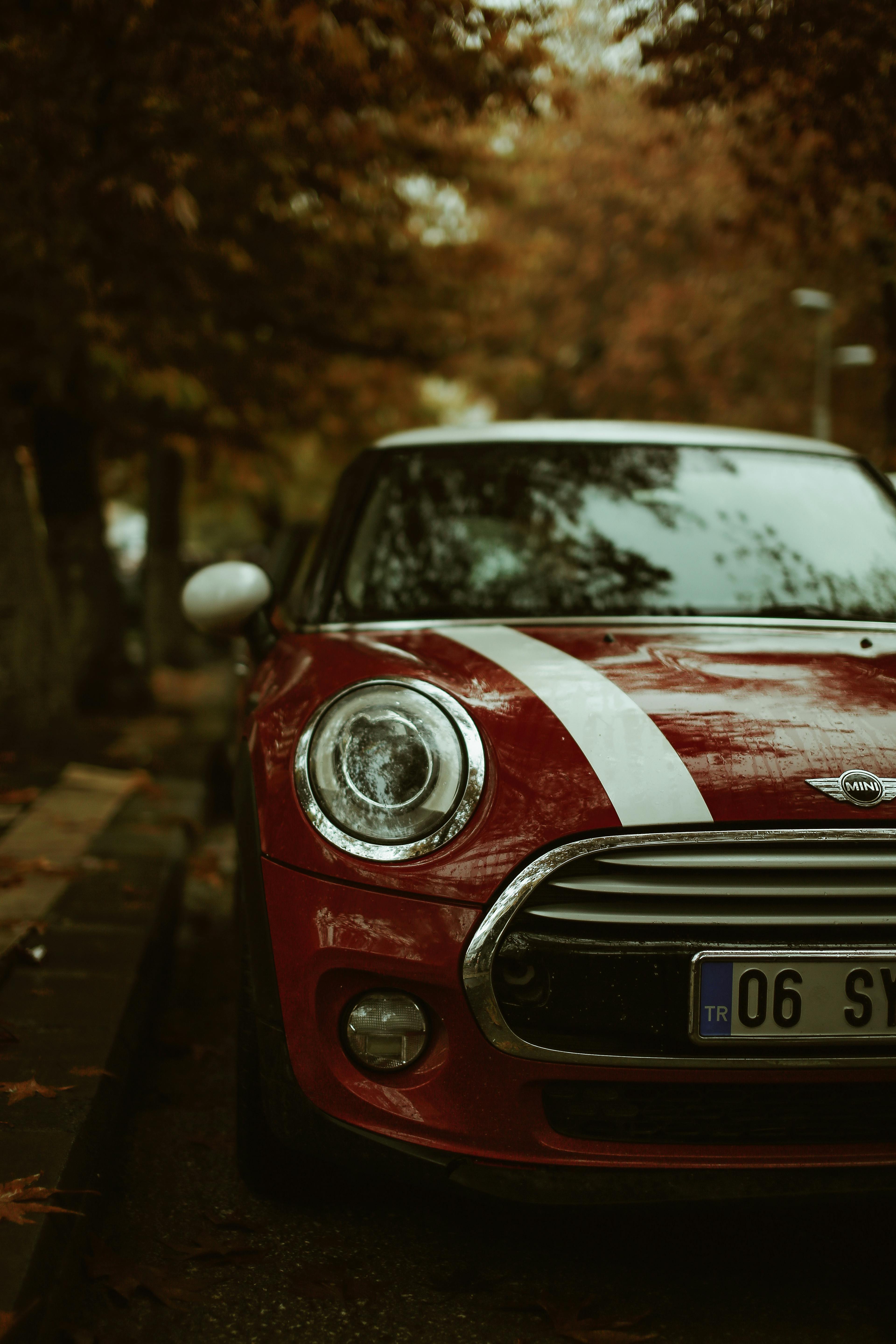 Mini Cooper in Autumn · Free Stock Photo