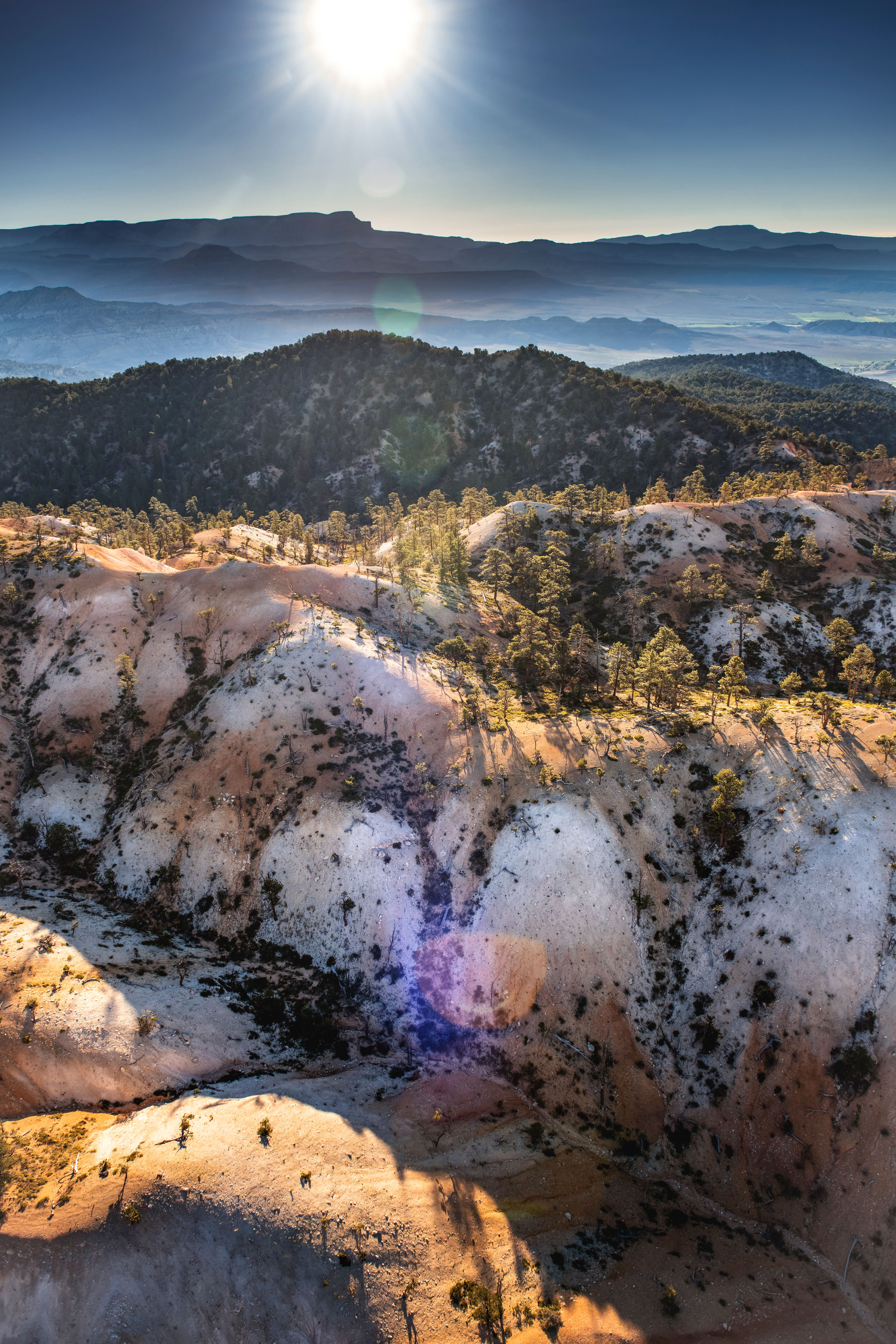 Forest on Hills at Sunset · Free Stock Photo