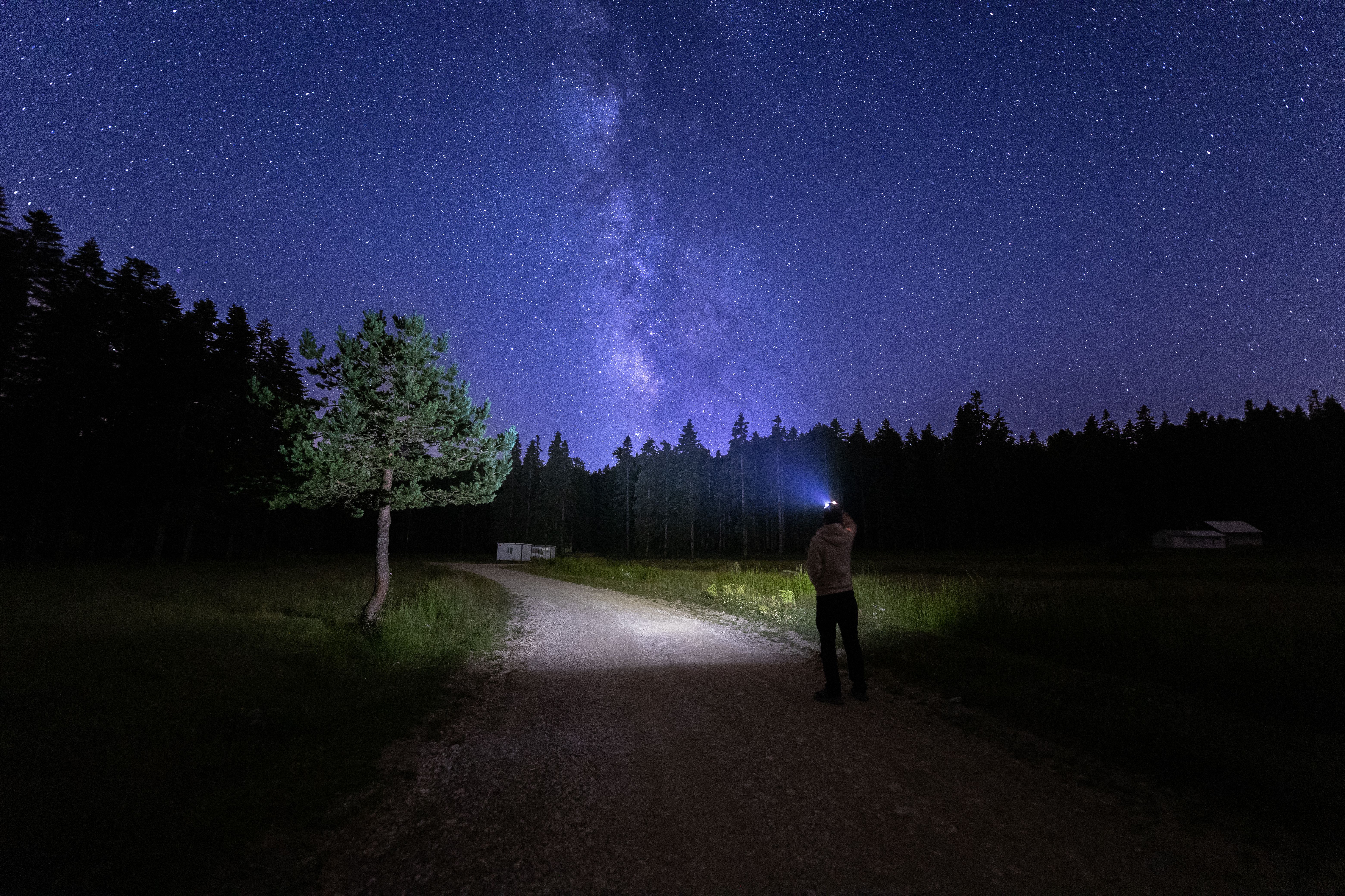 Man with a Flashlight Standing on a Road under a Starry Sky · Free ...