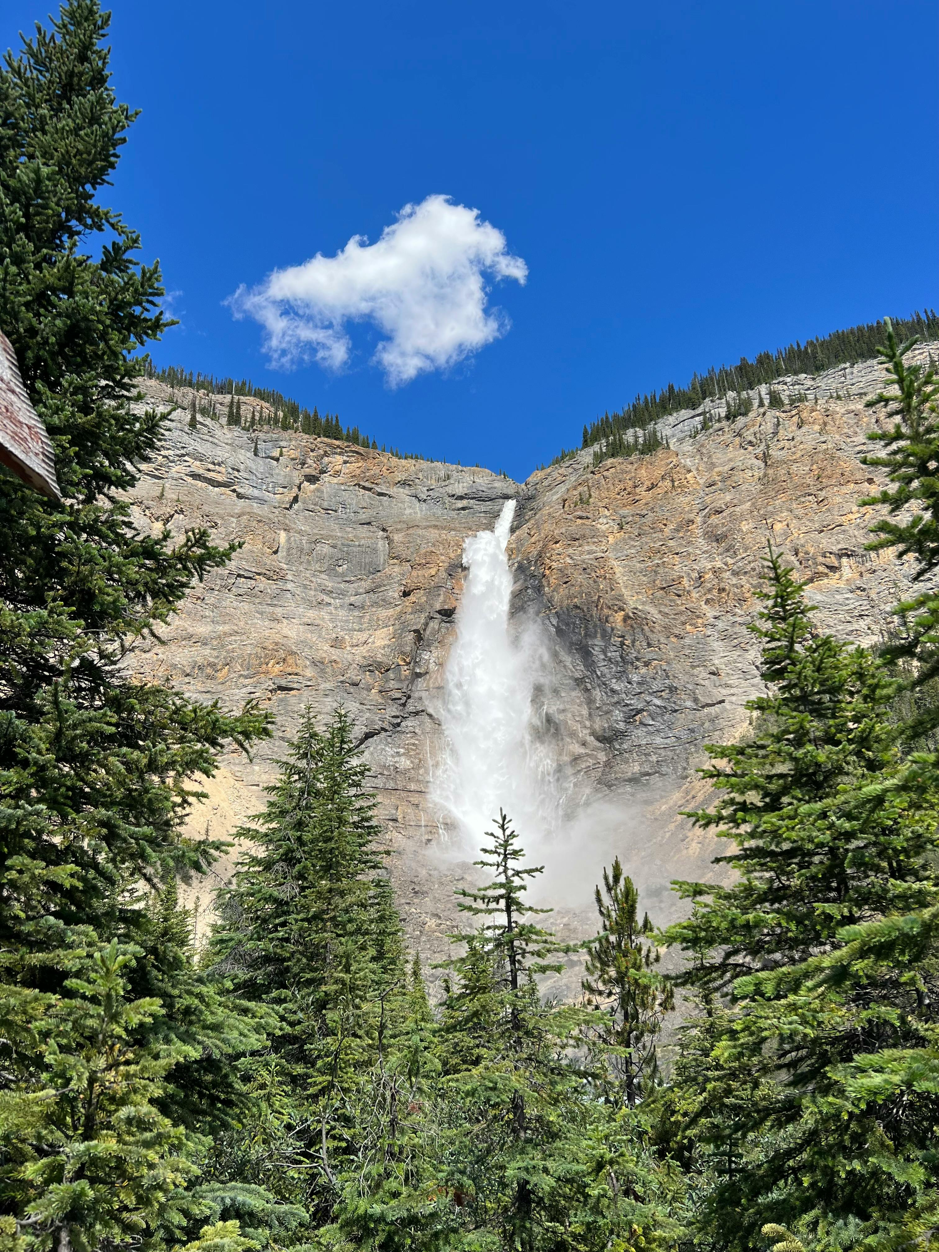 Oasis Waterfall Photos, Download The BEST Free Oasis Waterfall Stock ...