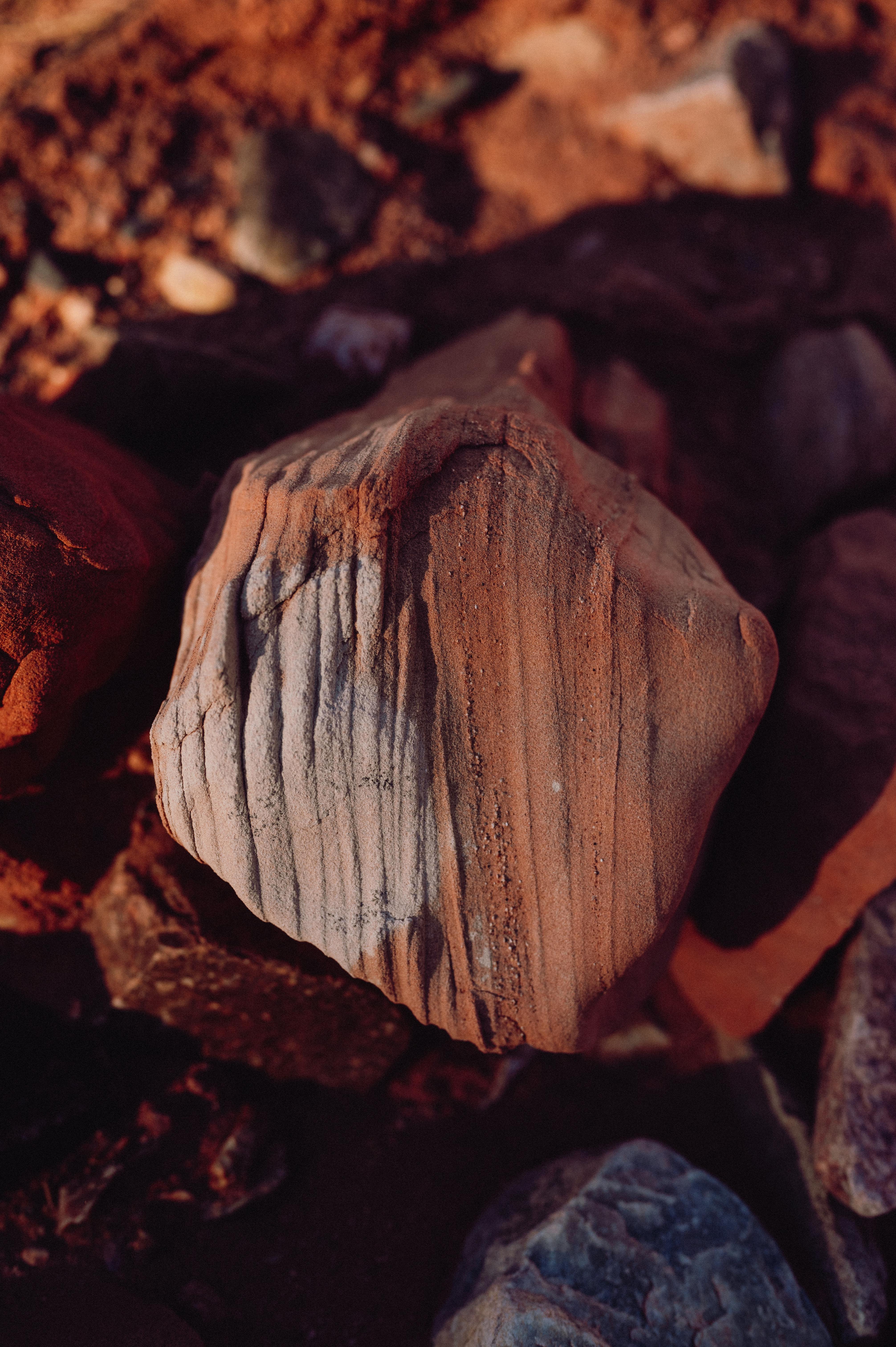 Layered Rock Fragment · Free Stock Photo