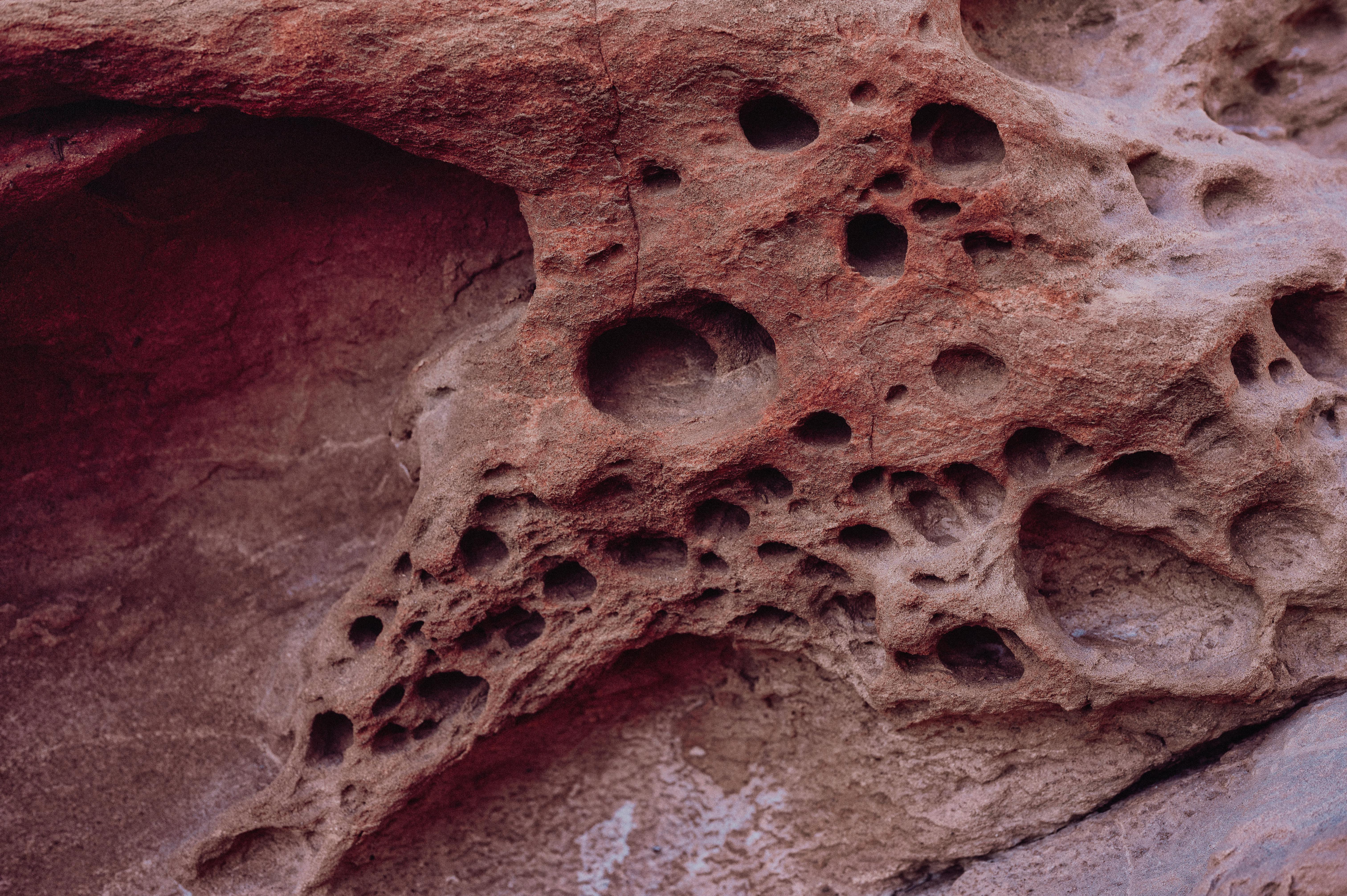 Texture of Eroded Sandstone · Free Stock Photo