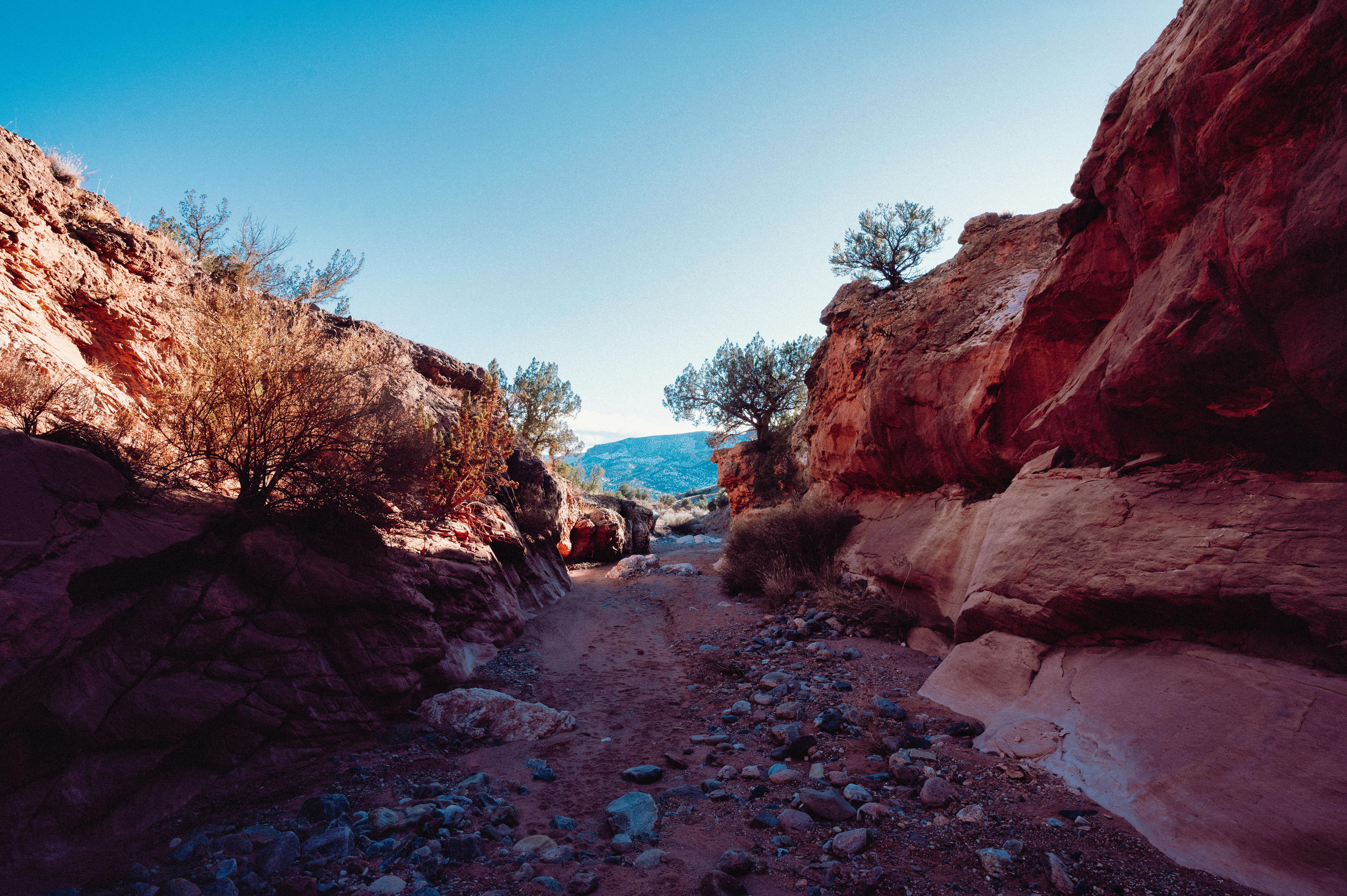 Gully Between Red Rocks · Free Stock Photo