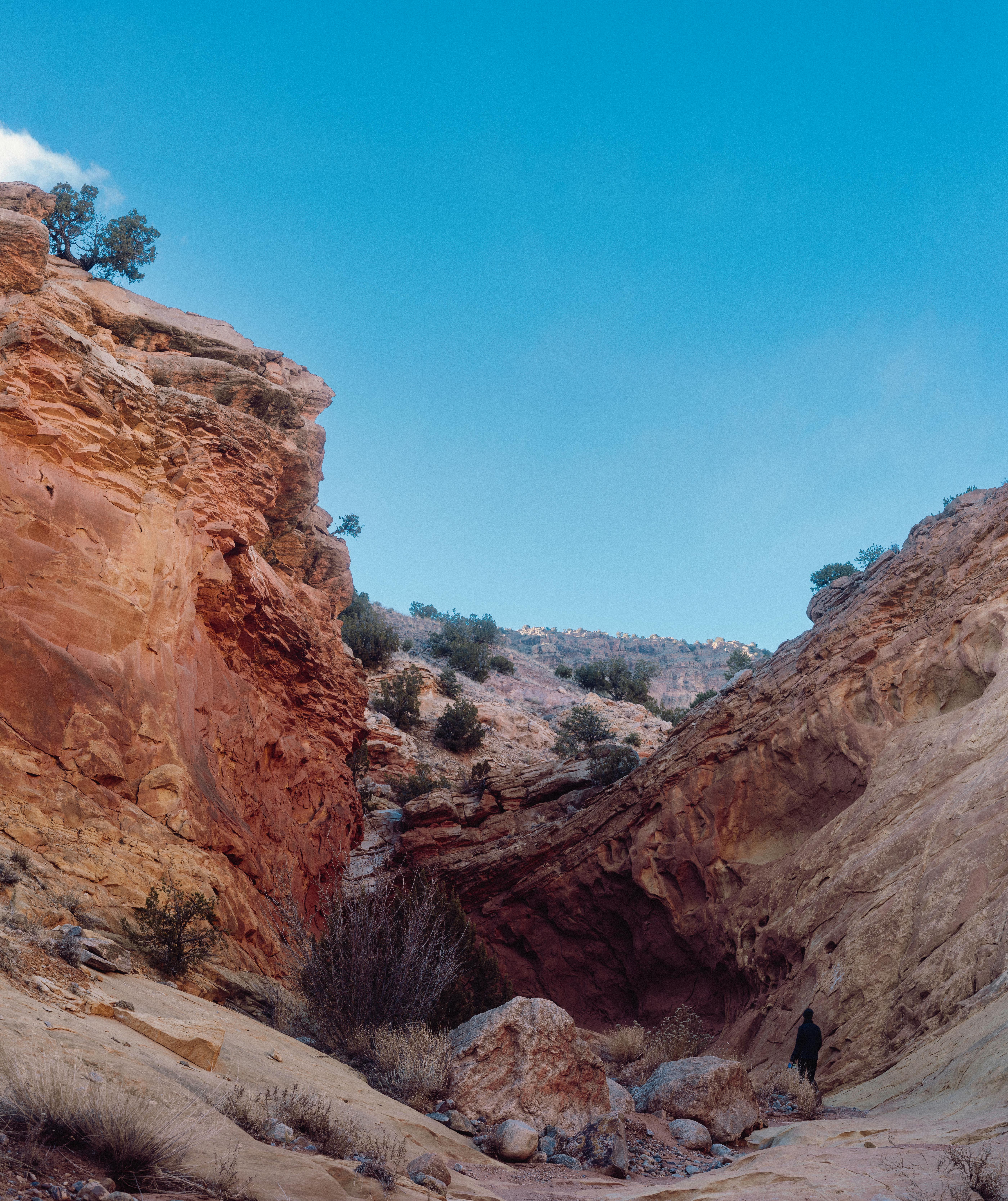 Scenic Cliffside Pathway with Dramatic Red Rock Formations · Free Stock ...