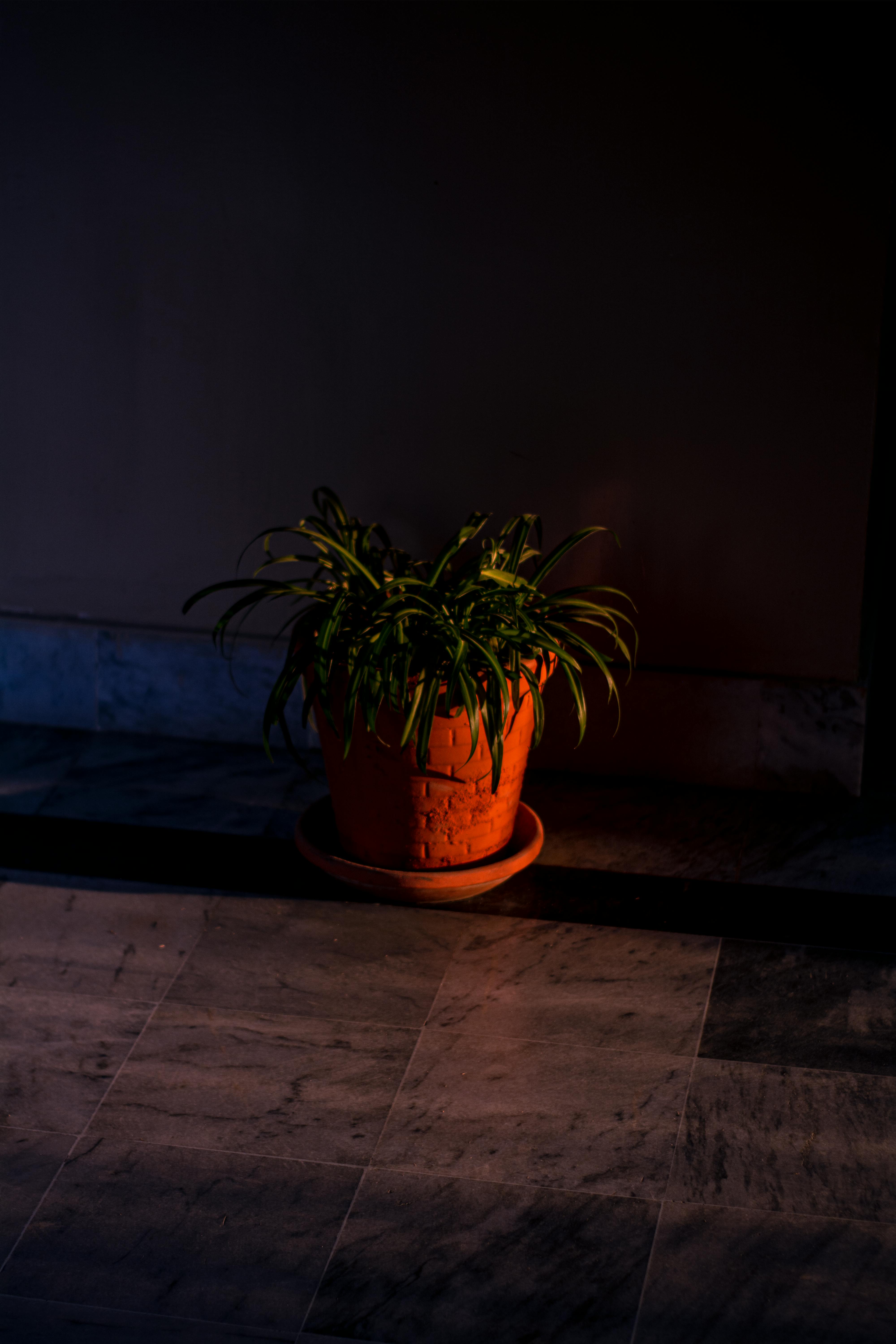 Saqlain Haider - Photography