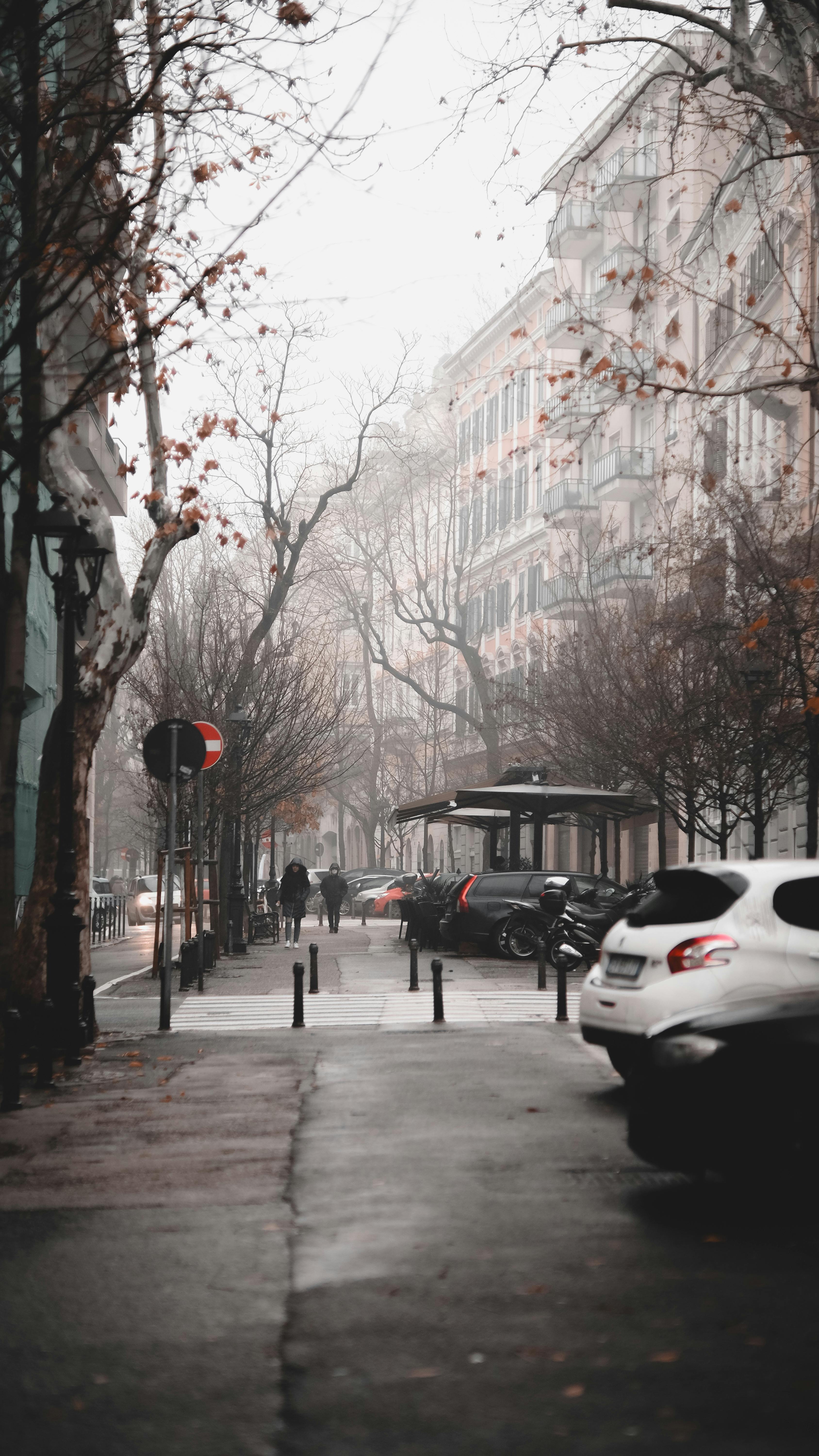 Winter In Trieste Photos, Download The BEST Free Winter In Trieste ...