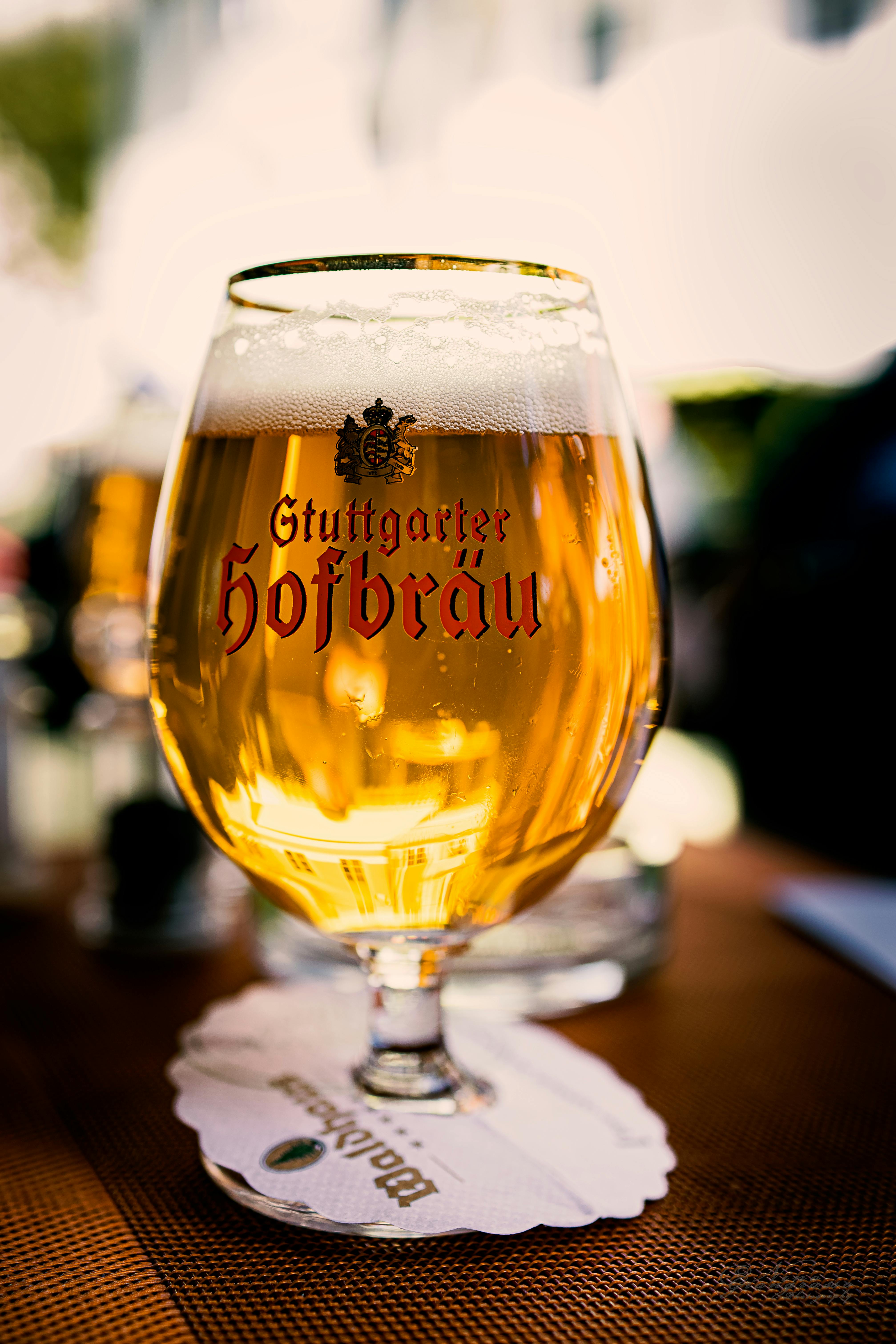 Glass of Beer · Free Stock Photo