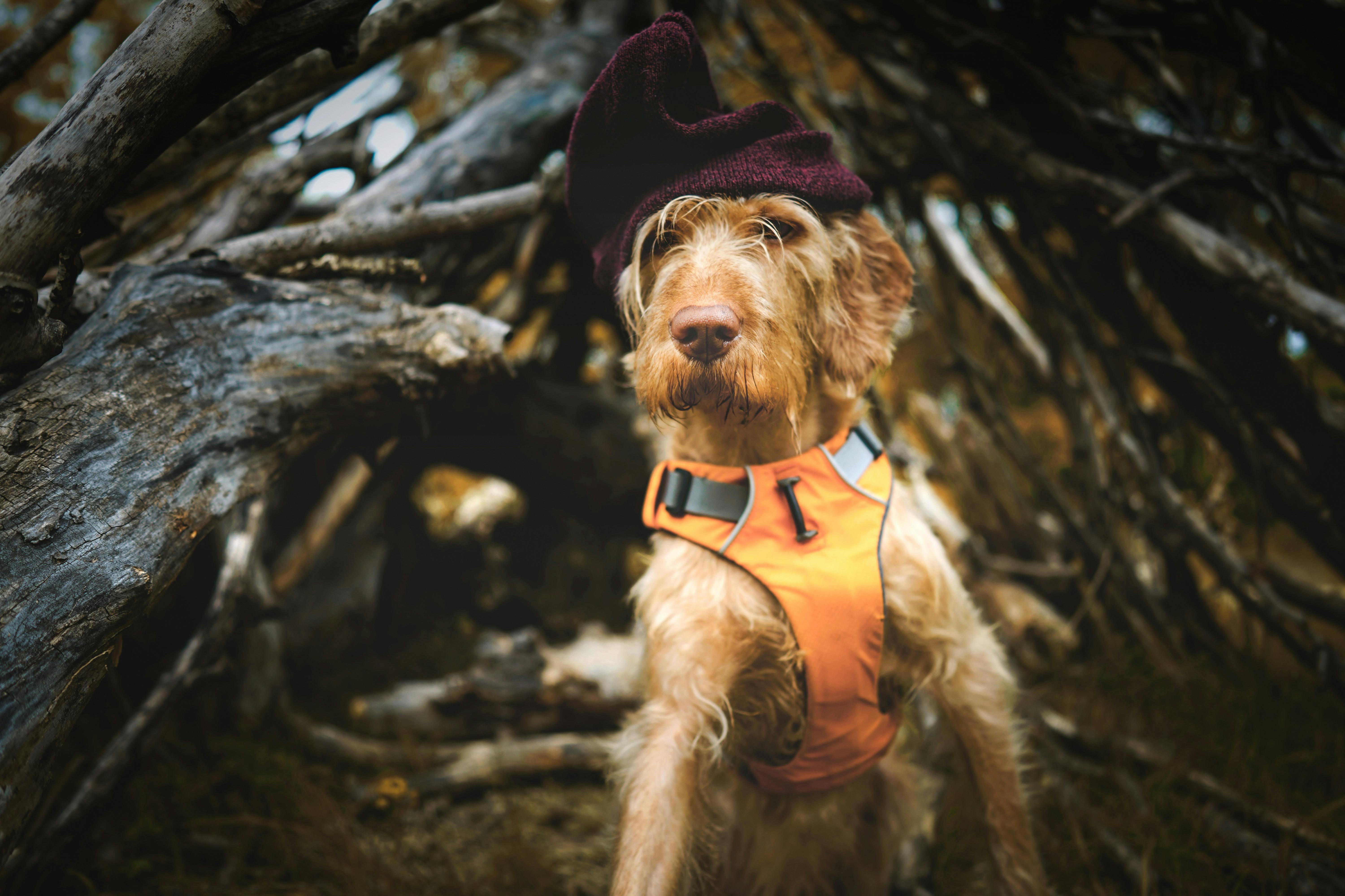 Samreen Wallpaper Photos, Download The BEST Free Samreen Wallpaper ...