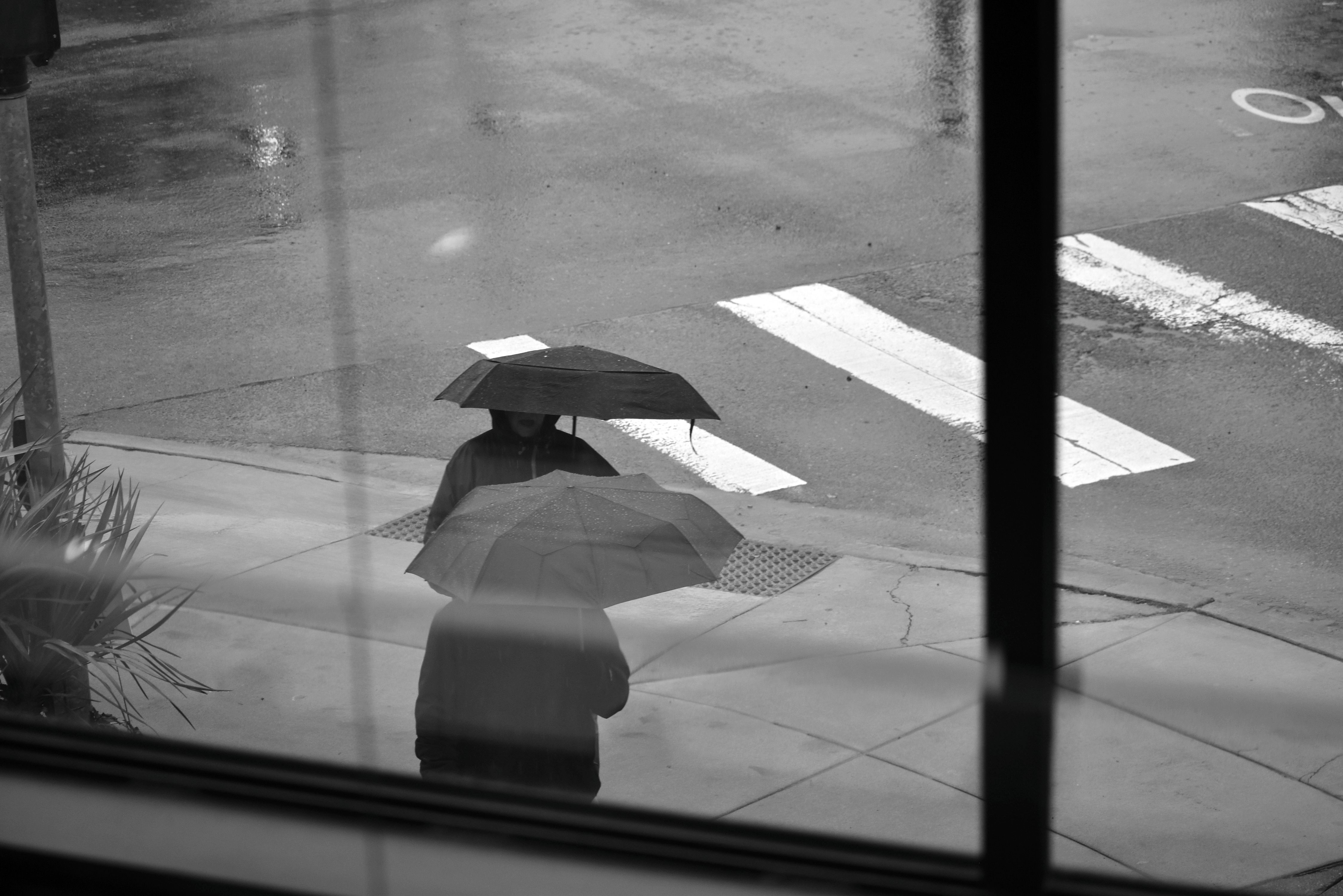 Person Holding An Umbrella · Free Stock Photo