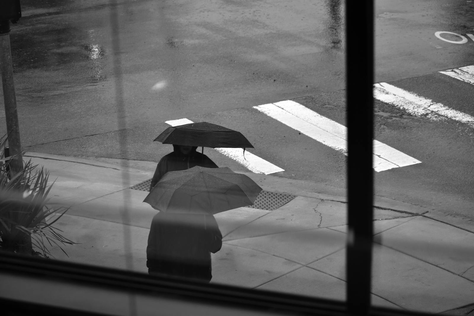 Rain In The City Photos, Download The BEST Free Rain In The City Stock ...