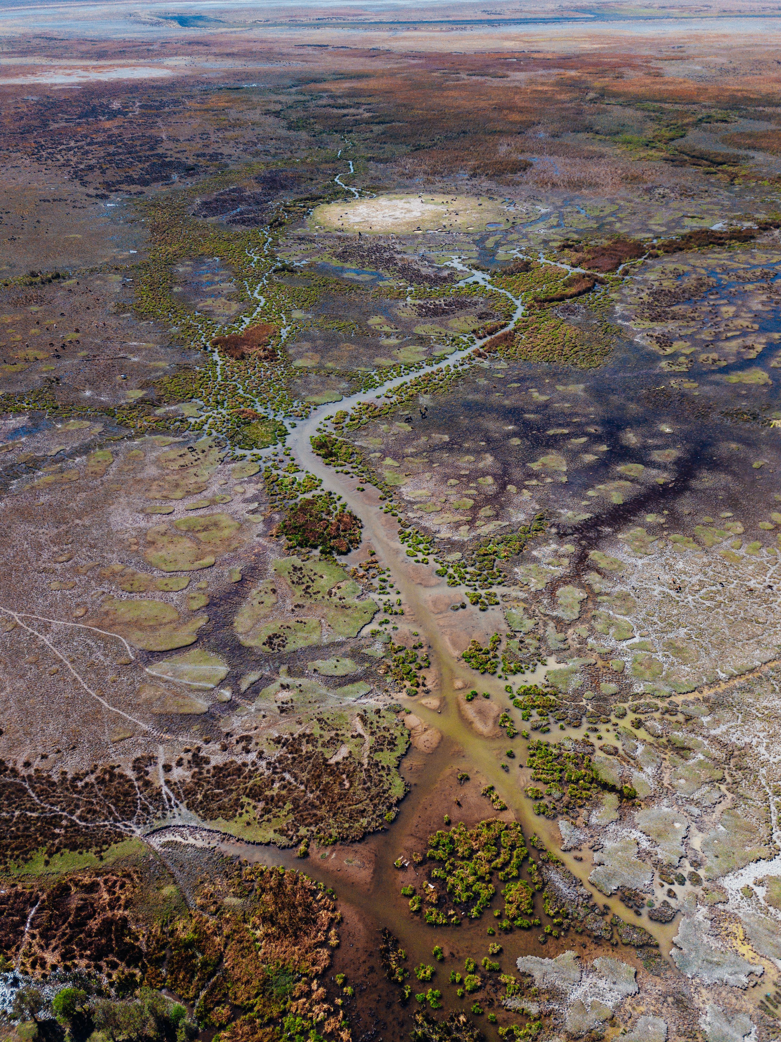 River on a Wasteland · Free Stock Photo
