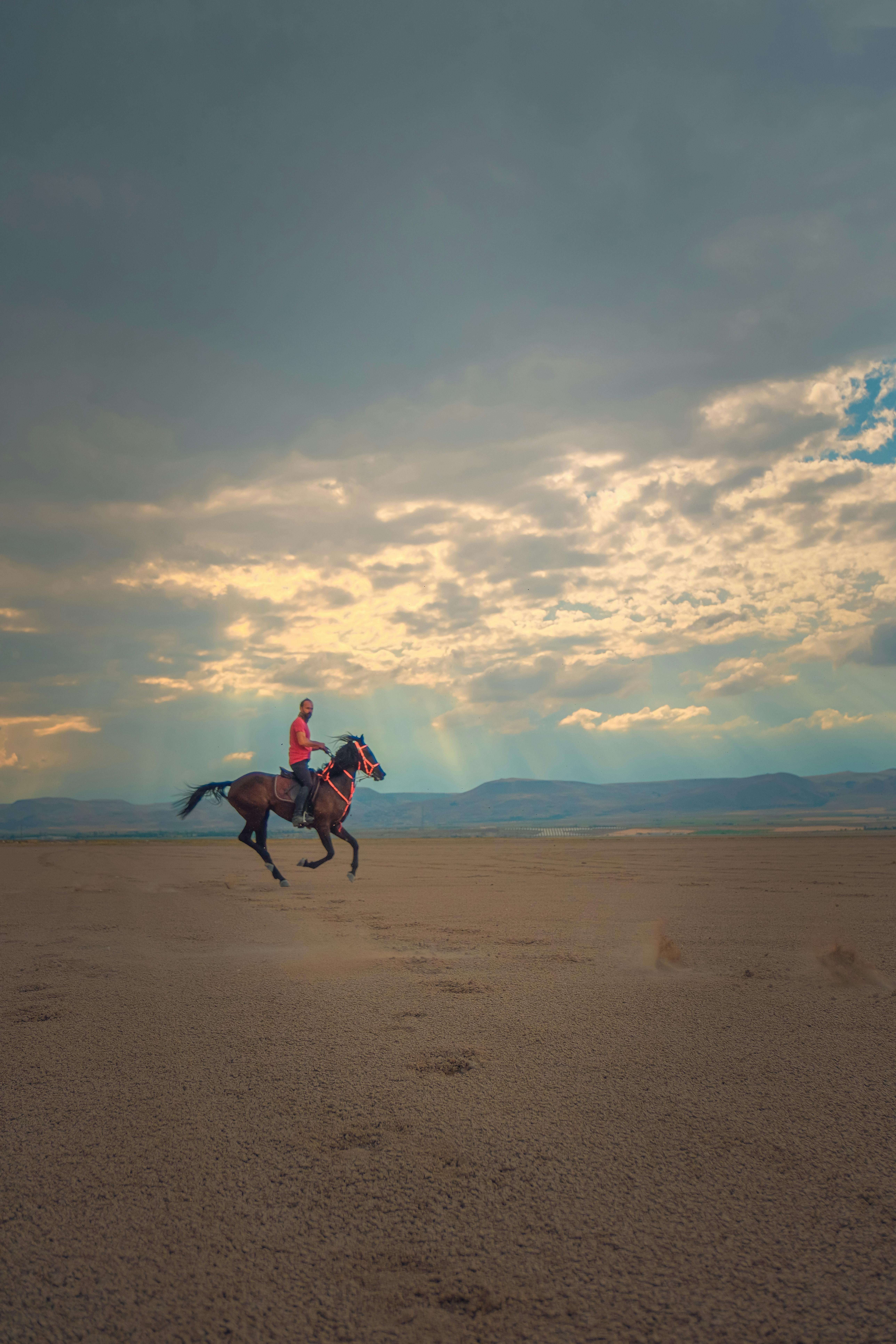 A Person Horseback Riding in the Desert · Free Stock Photo
