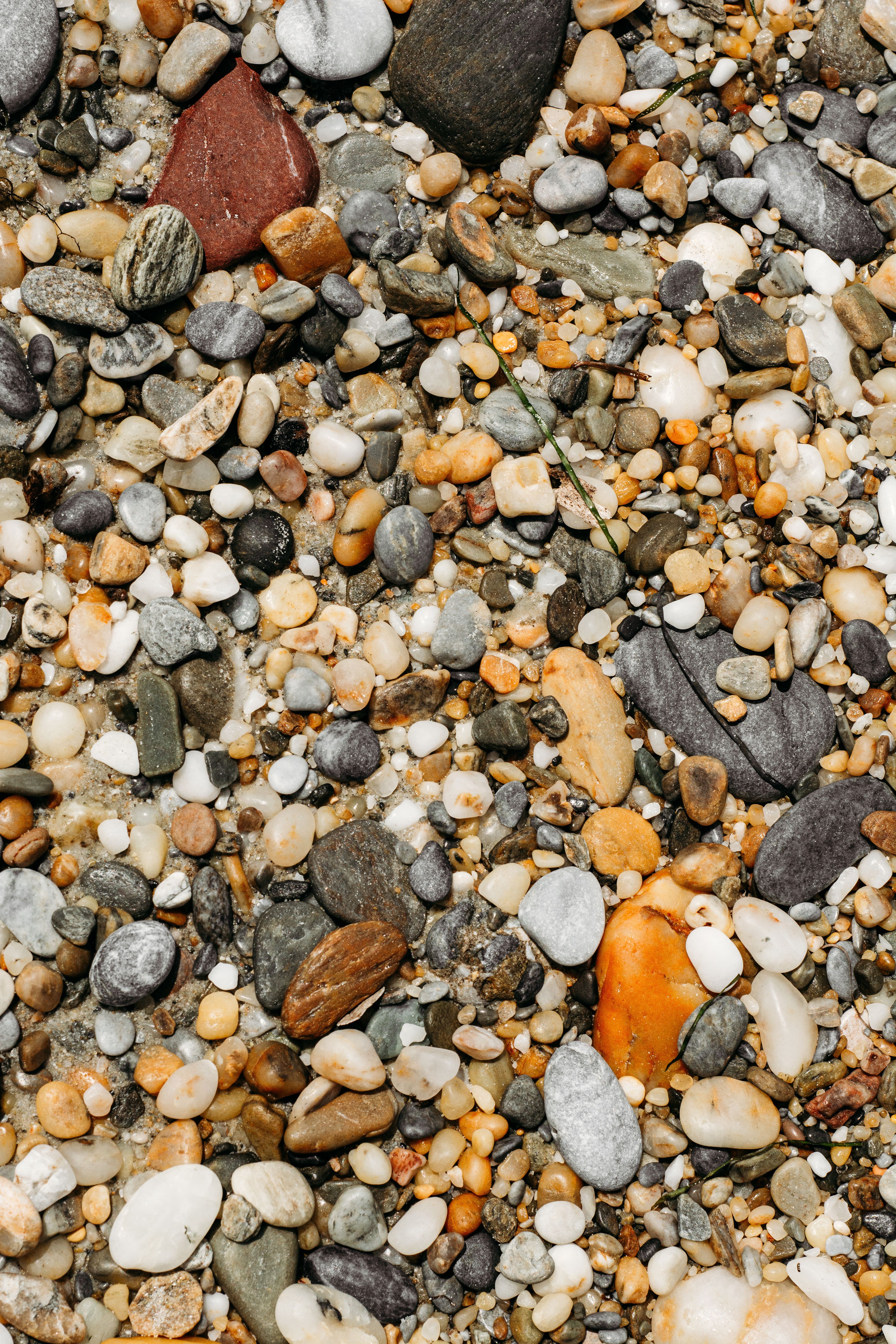 A close up of rocks and pebbles on the beach · Free Stock Photo