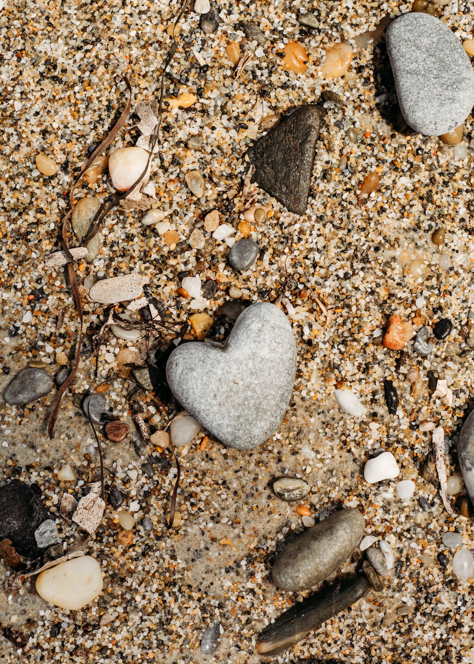 Beach Aesthetics Photos, Download The BEST Free Beach Aesthetics Stock ...