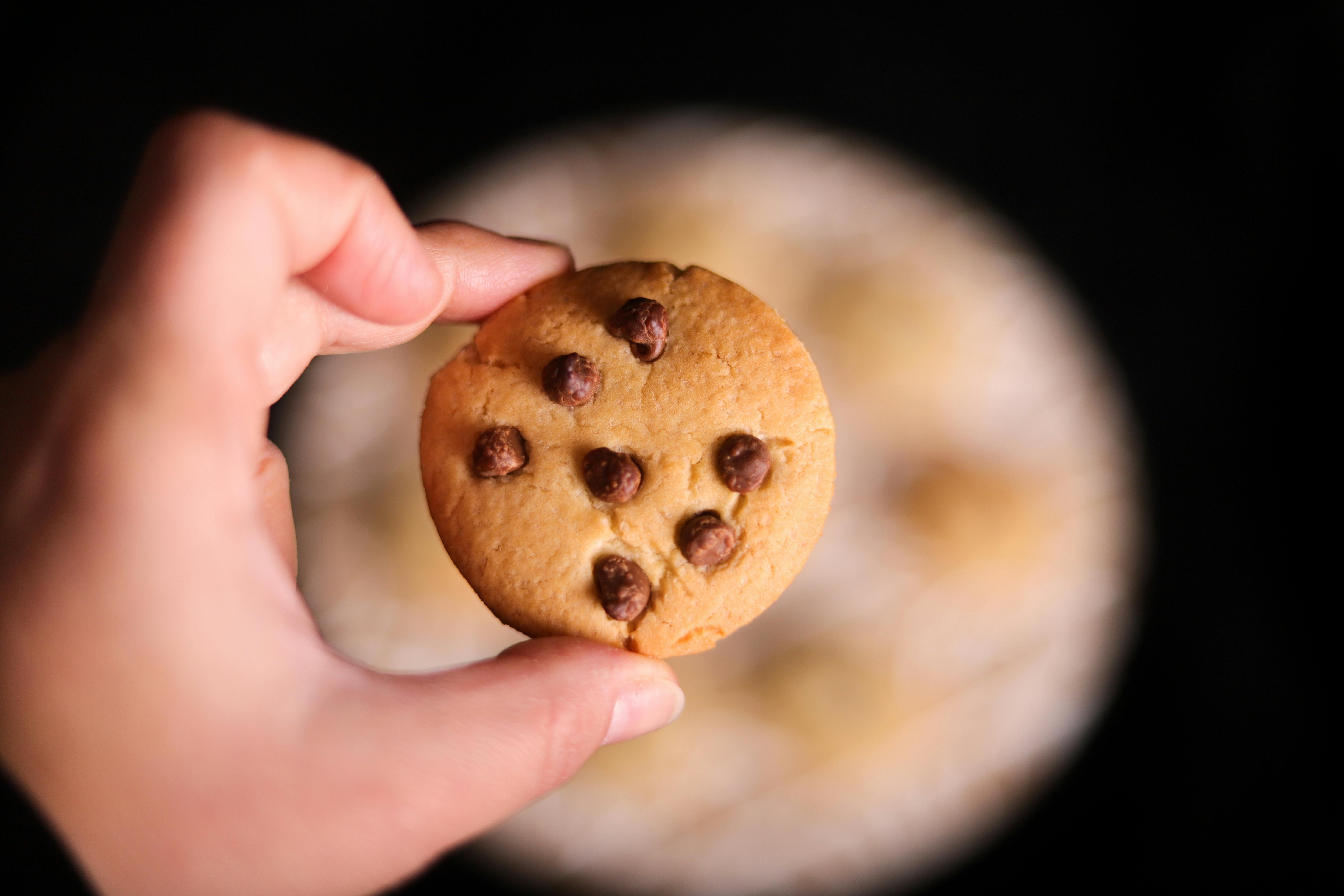 Hand Holding Cookie · Free Stock Photo