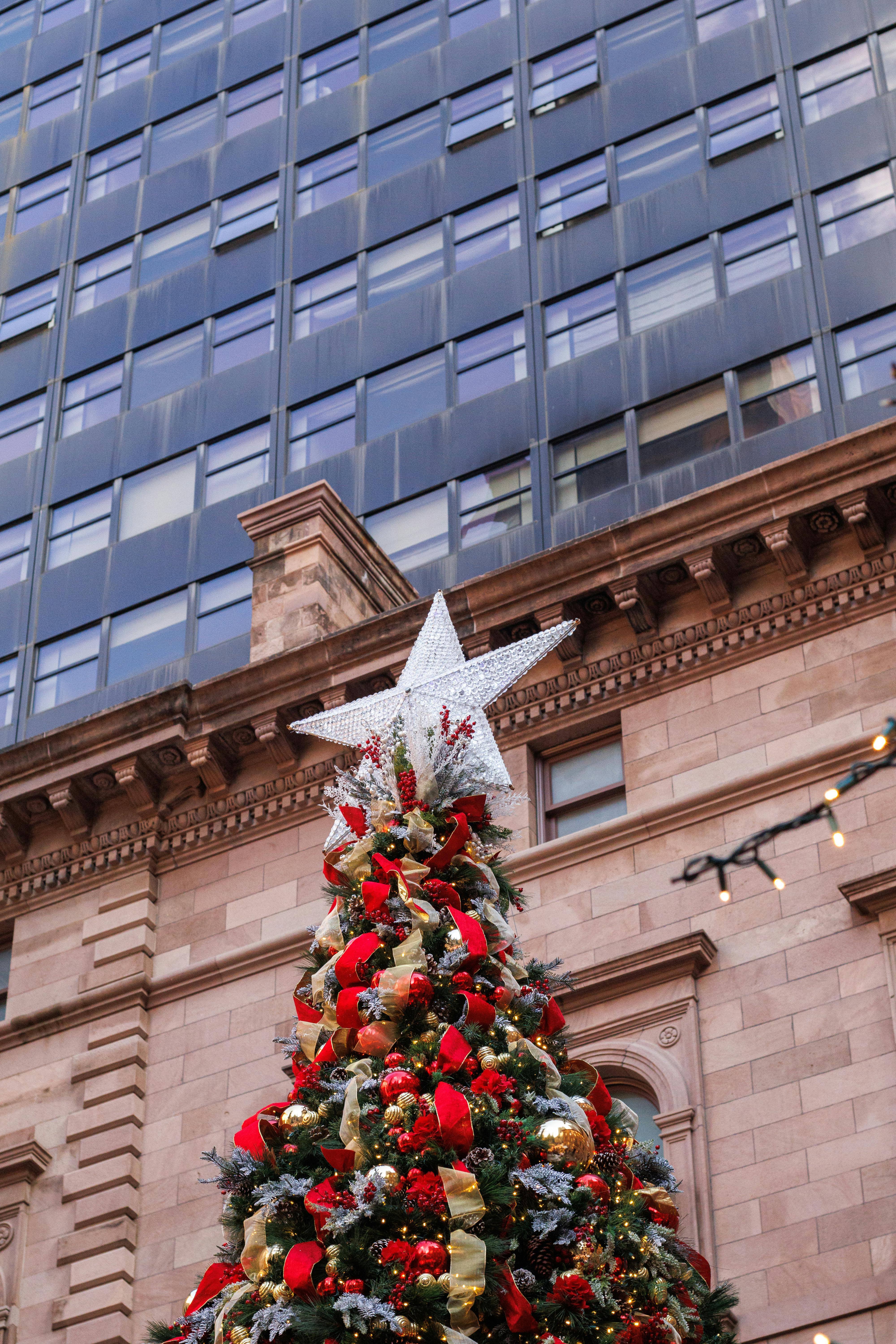 Christmas Tree Standing in front of a Skyscraper · Free Stock Photo