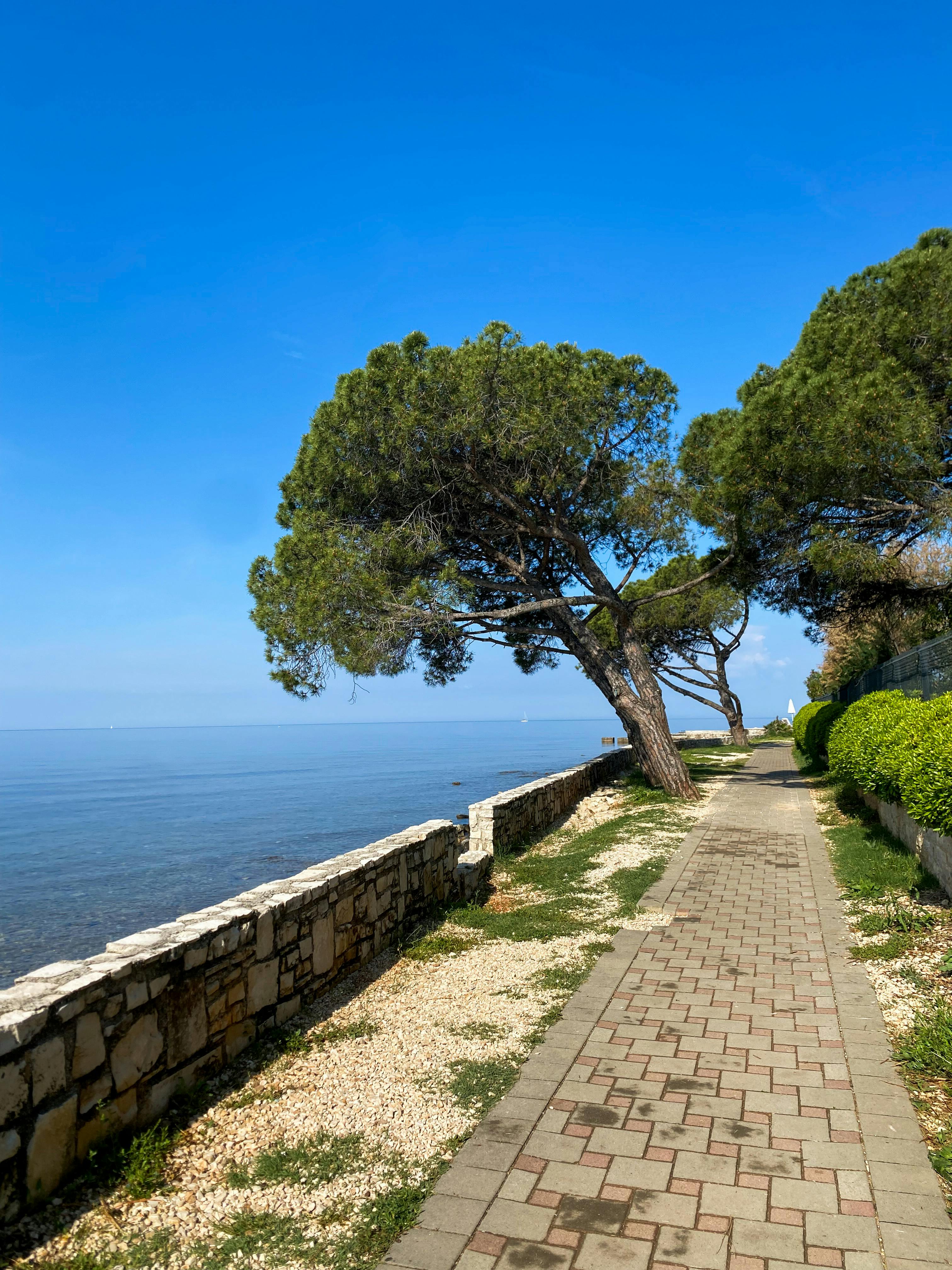 Asphalt Road Near Ocean Under Blue Skies · Free Stock Photo