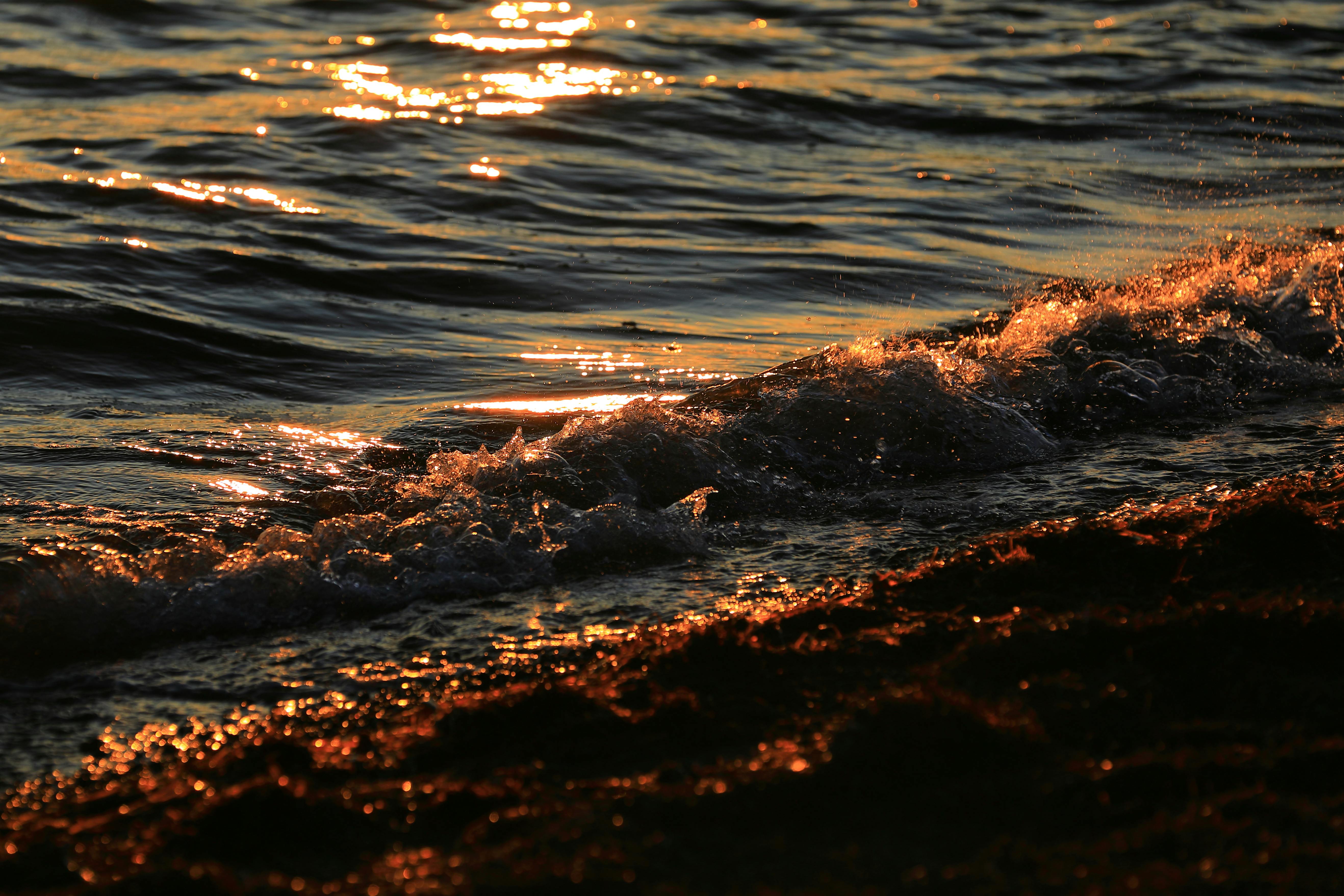 Shiny Water on Shore at Sunset · Free Stock Photo