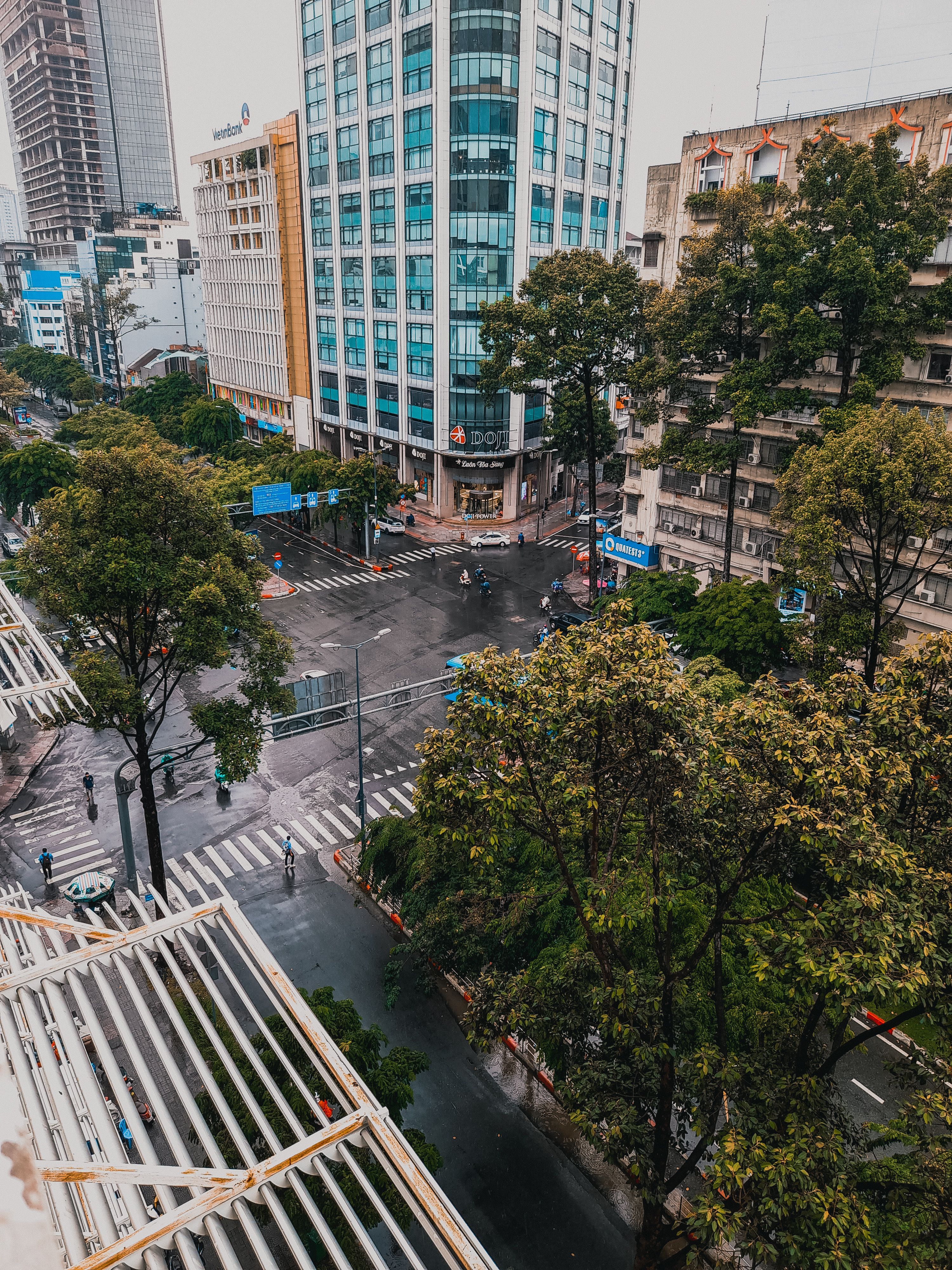 Trees around Street after Rain in Ho Chi Minh in Vietnam · Free Stock Photo