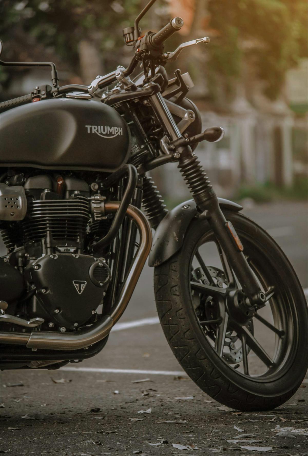 Triumph Bike Photos, Download The BEST Free Triumph Bike Stock Photos ...