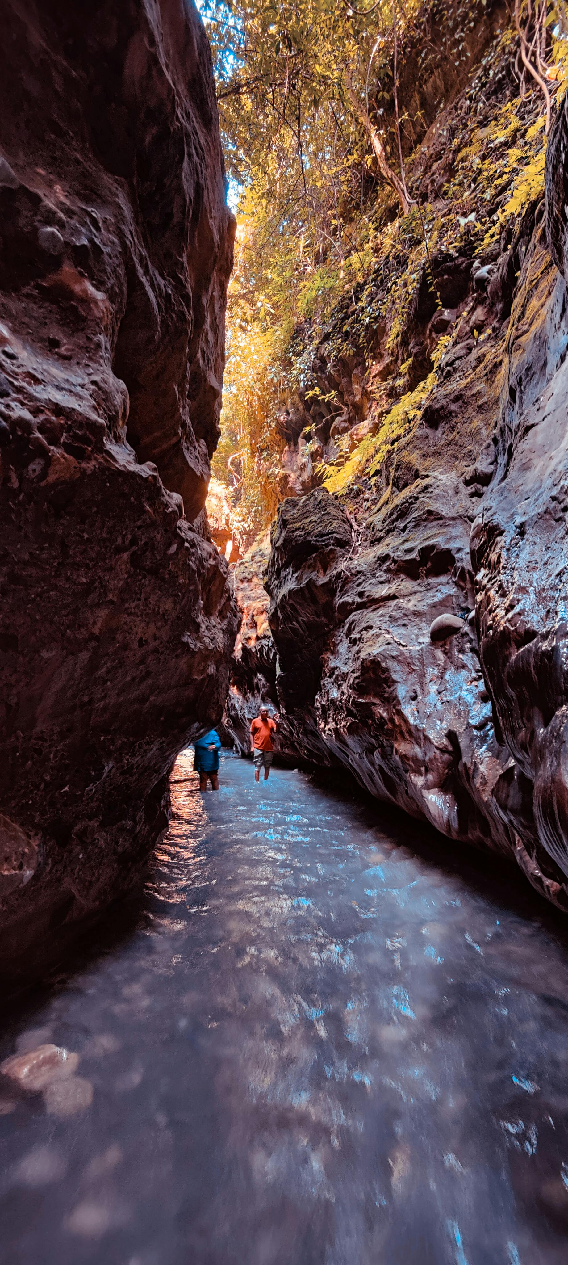 AJAY KUMAR - Photography