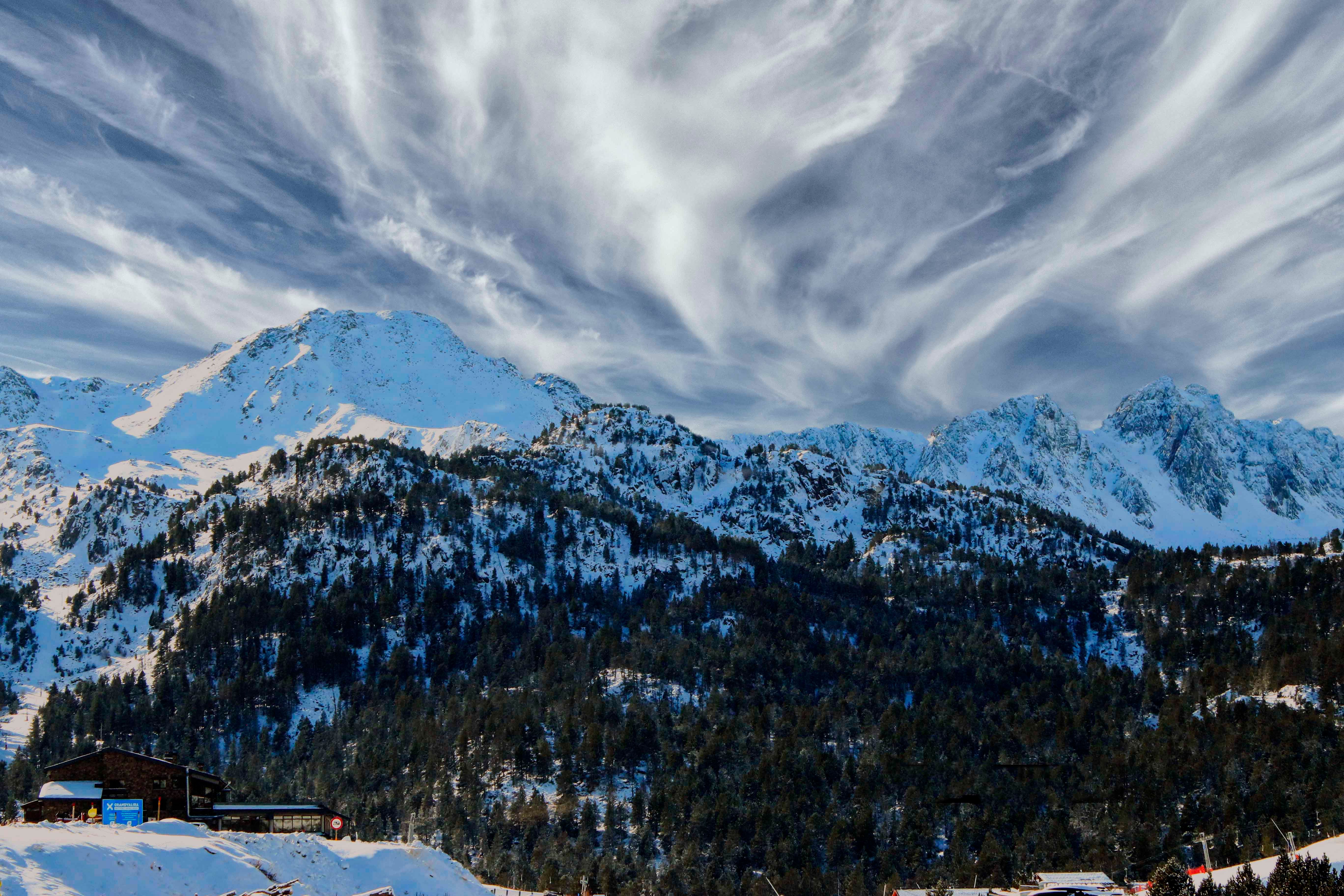 Collors Photos, Download The BEST Free Collors Stock Photos & HD Images
